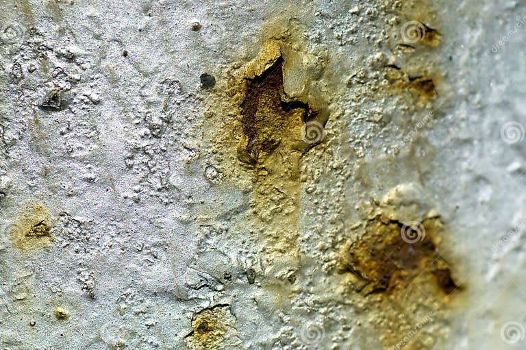 Silver Rust stock photo. Image of silver, iron, background - 5518556