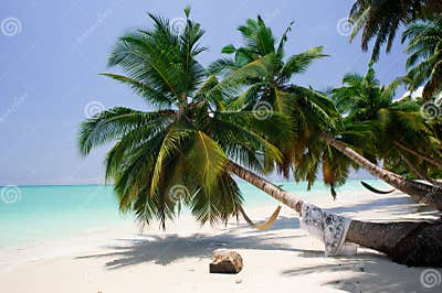 Silver Sands stock image. Image of blue, green, seascape - 24895039