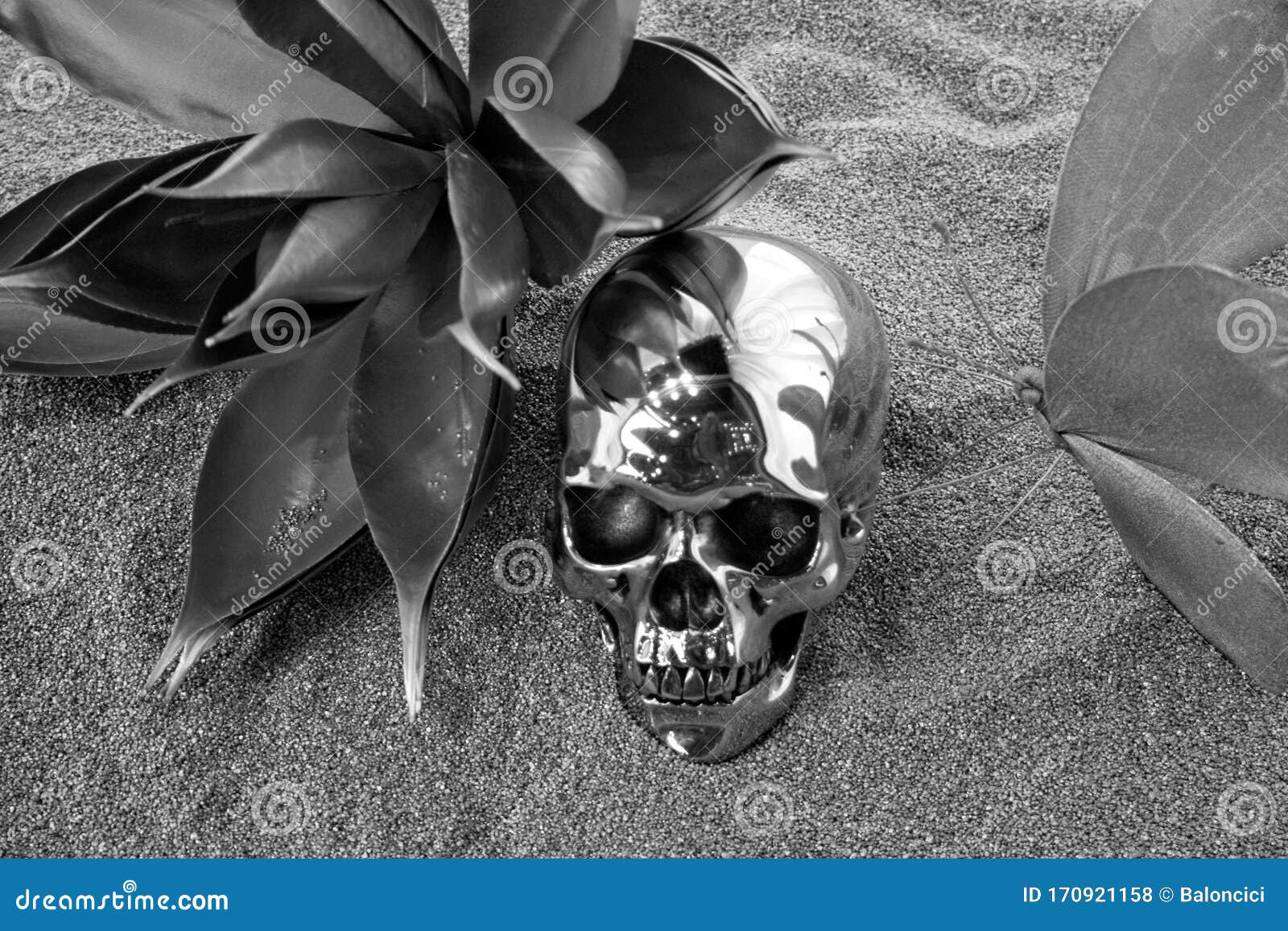 Sculpture Of A Scull And Crossed Bones On A Tombstone Royalty-Free ...