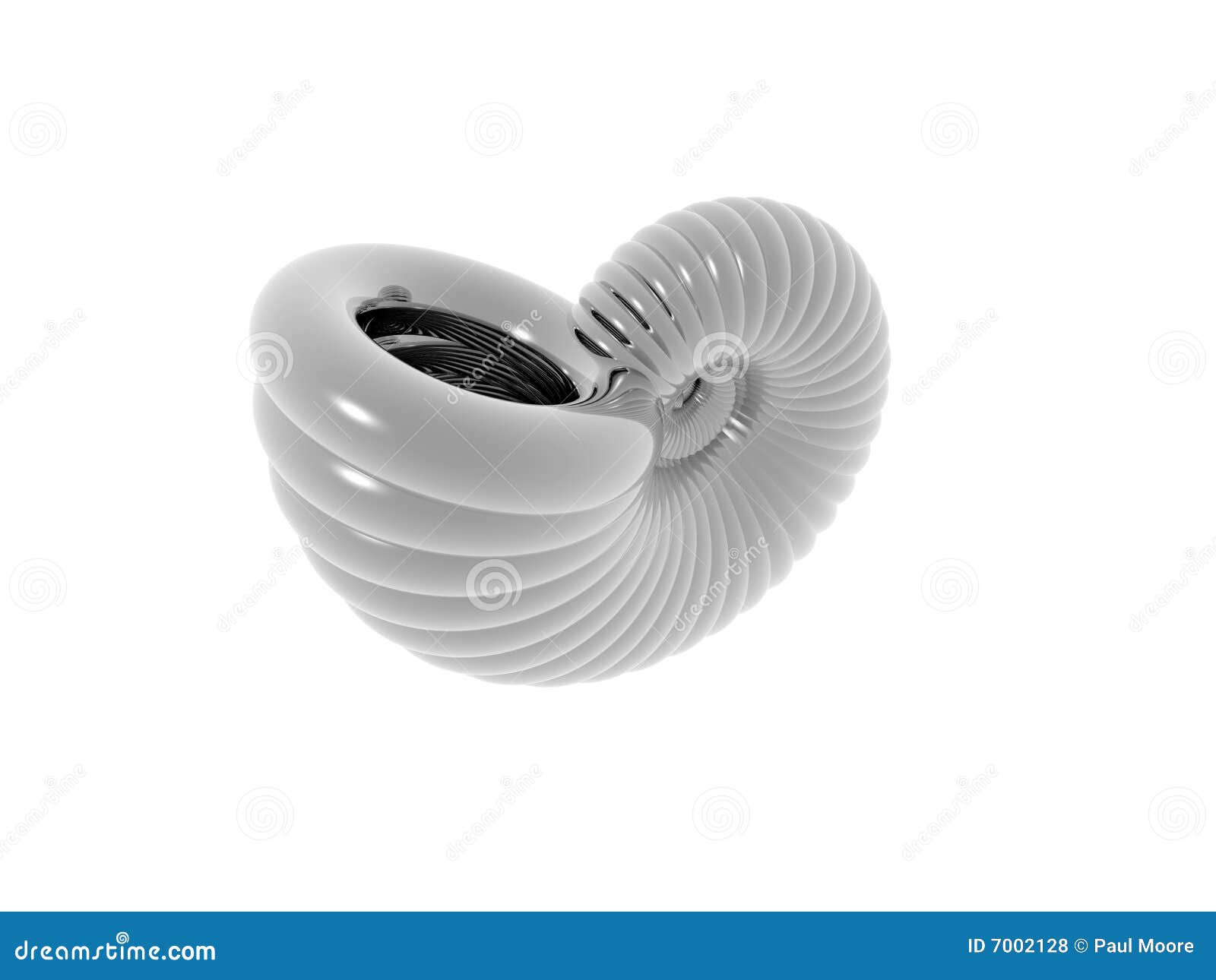 Silver Shell stock illustration. Illustration of crust - 7002128