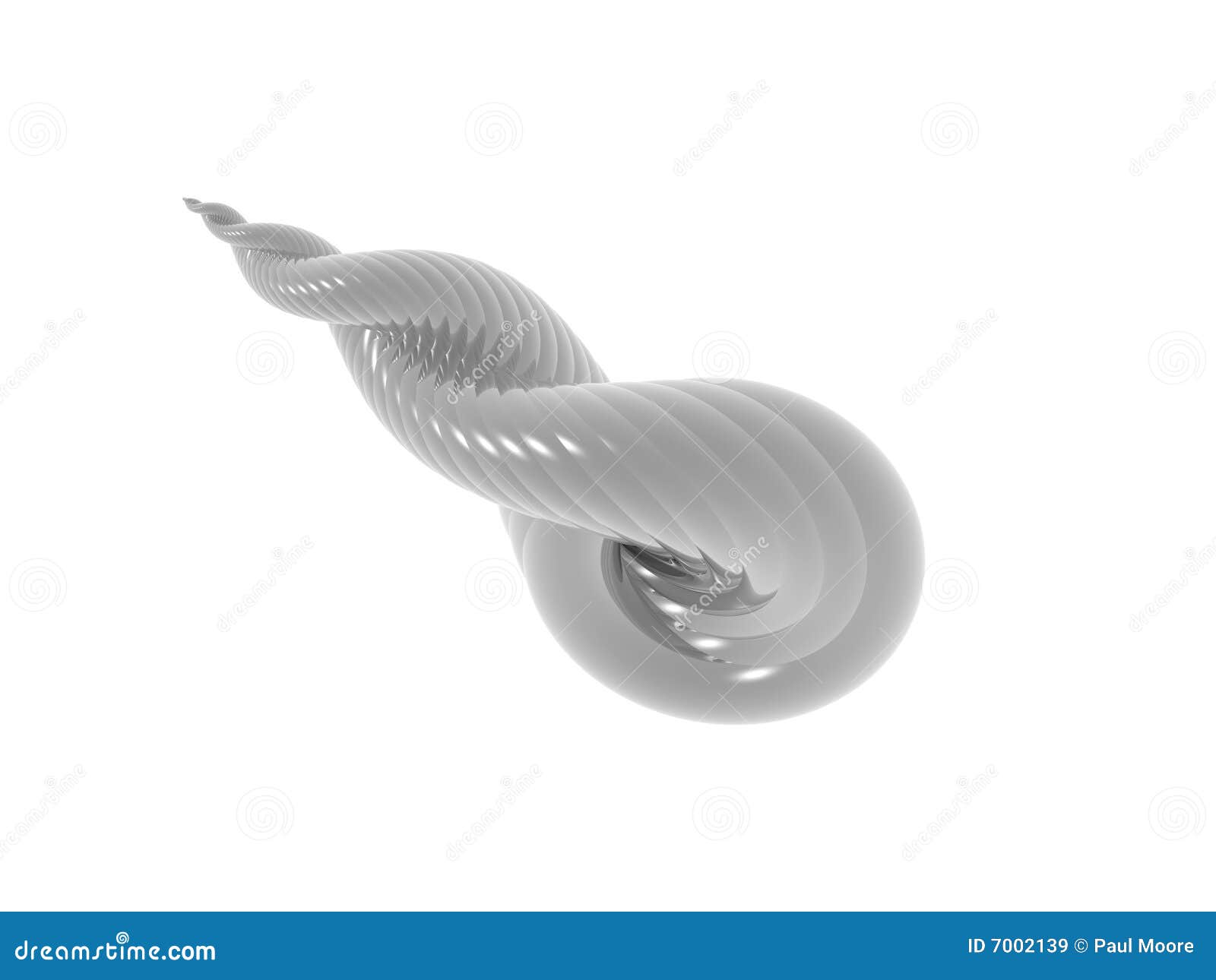 Silver Shell stock illustration. Illustration of seashell - 7002139