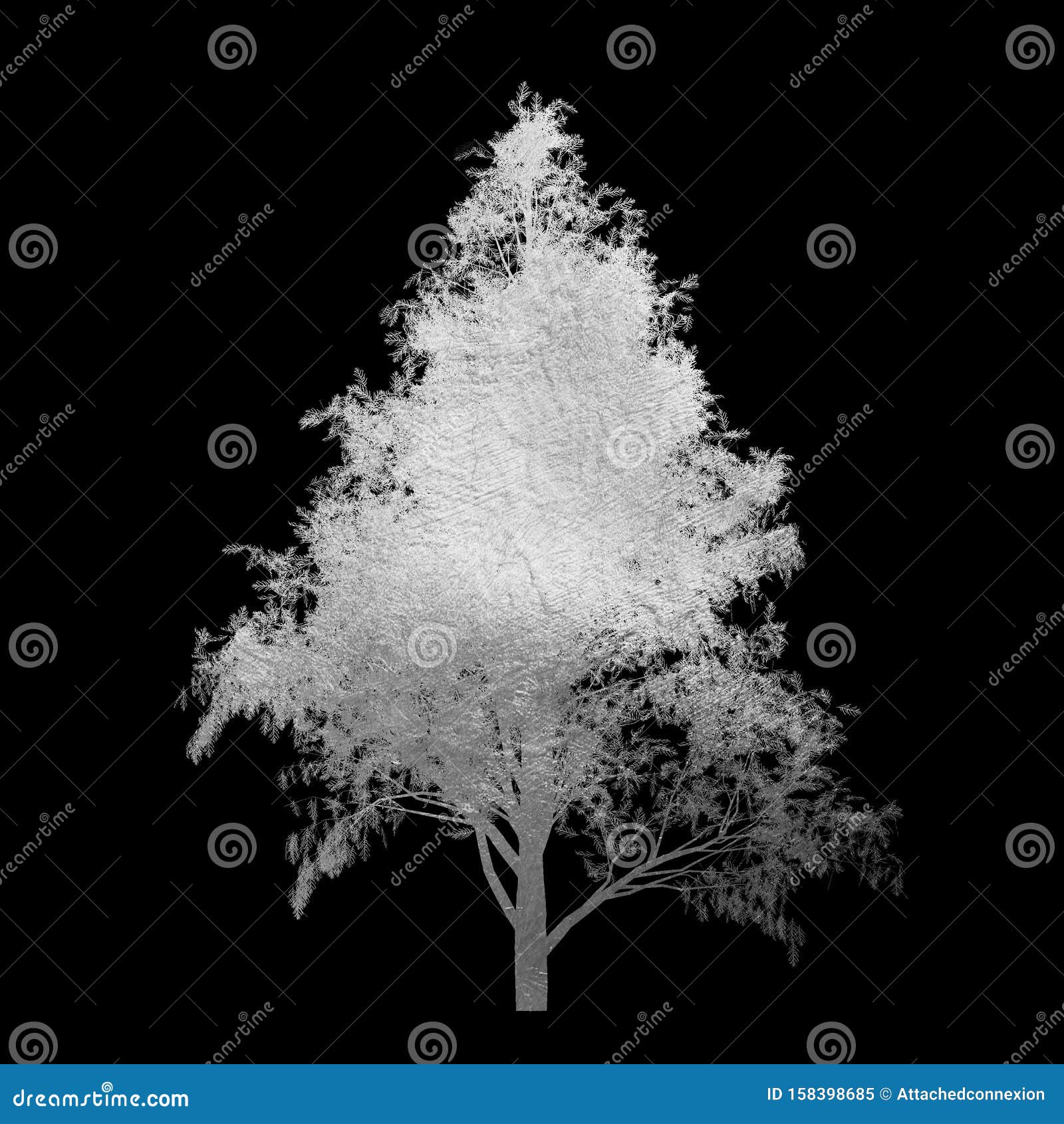 Silver Tree with Leaves Isolated on Black Background Stock Image ...