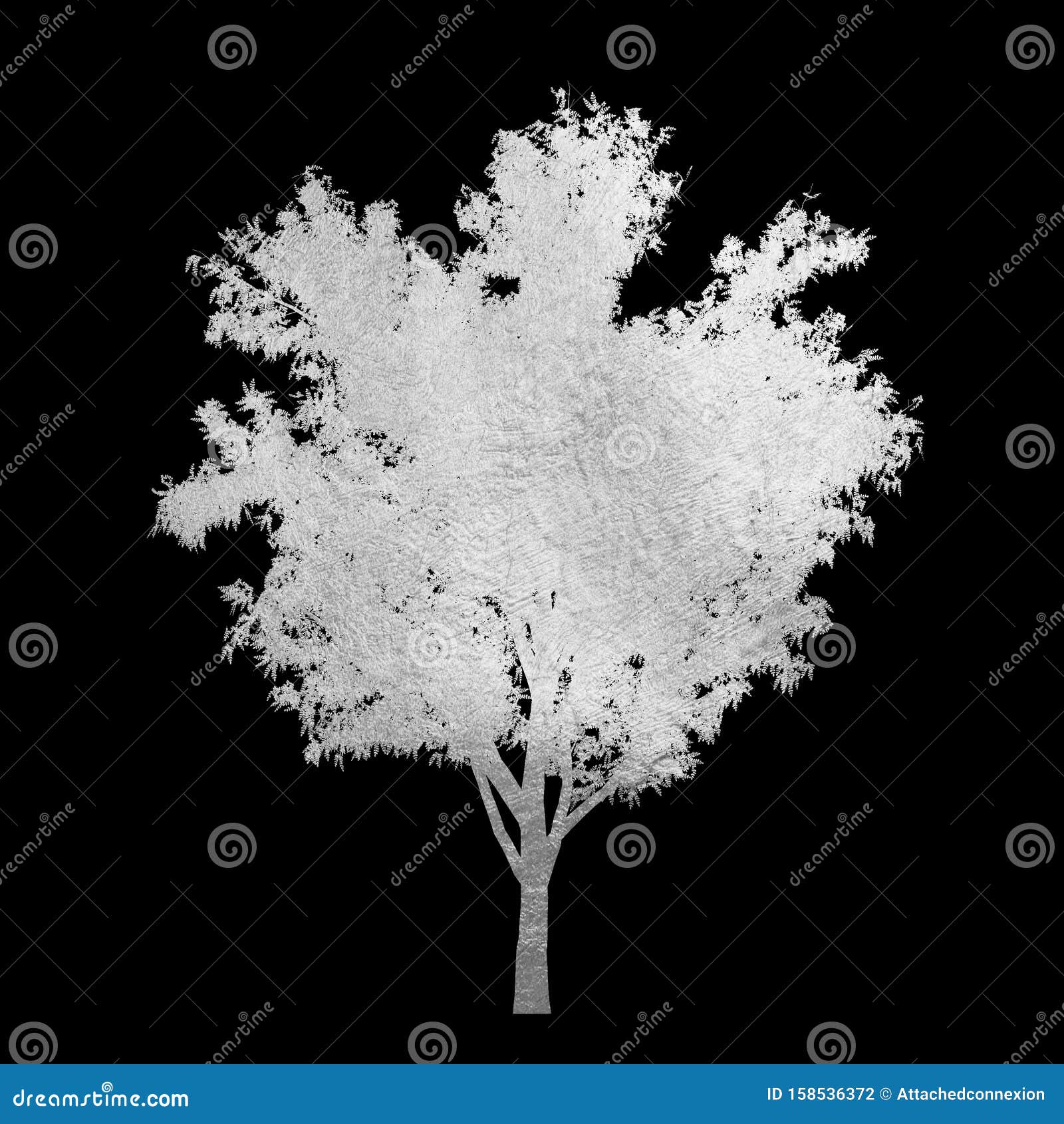Silver Tree with Leaves Isolated on Black Background Stock Photo ...