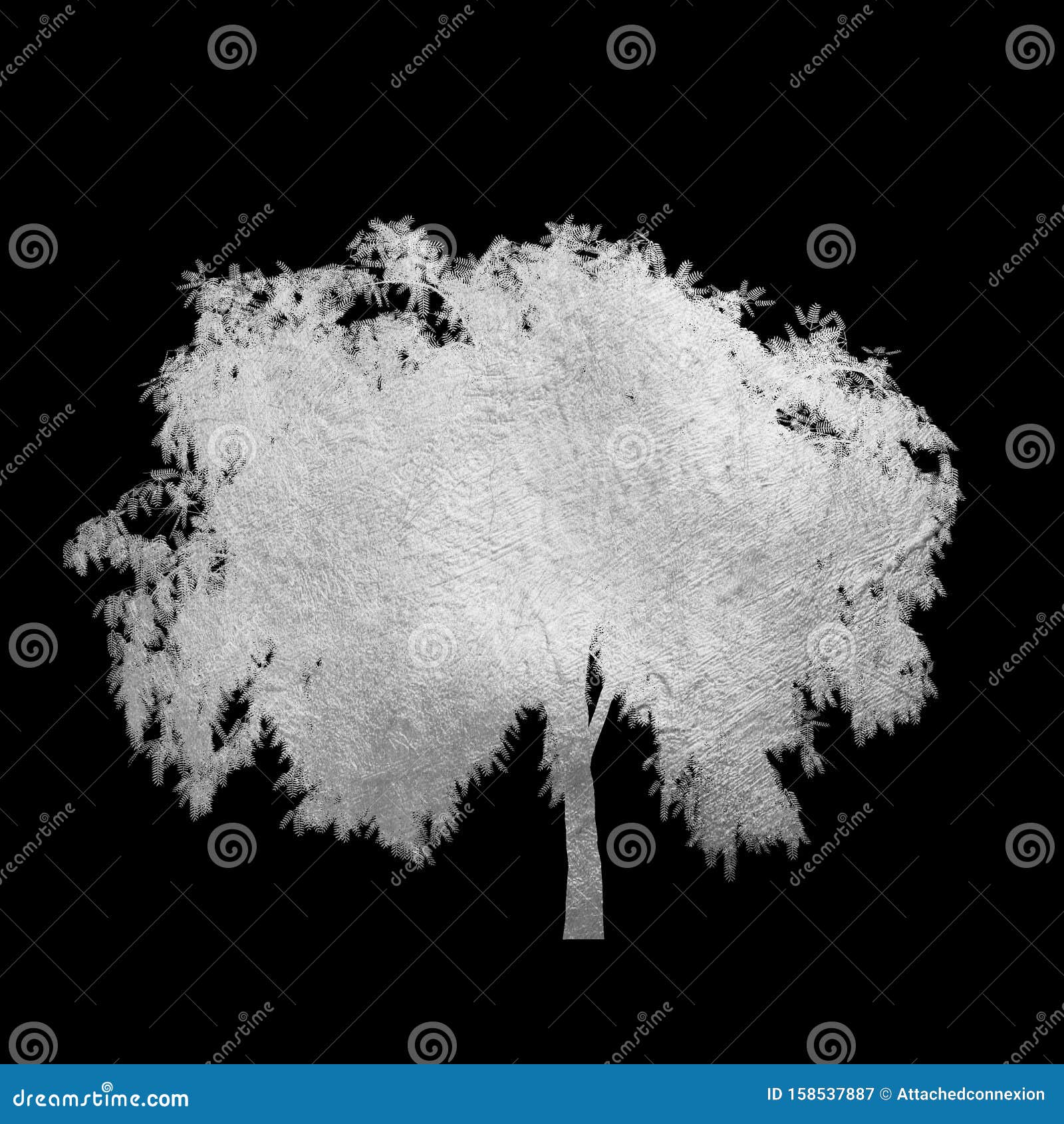 Silver Tree with Leaves Isolated on Black Background Stock Image ...