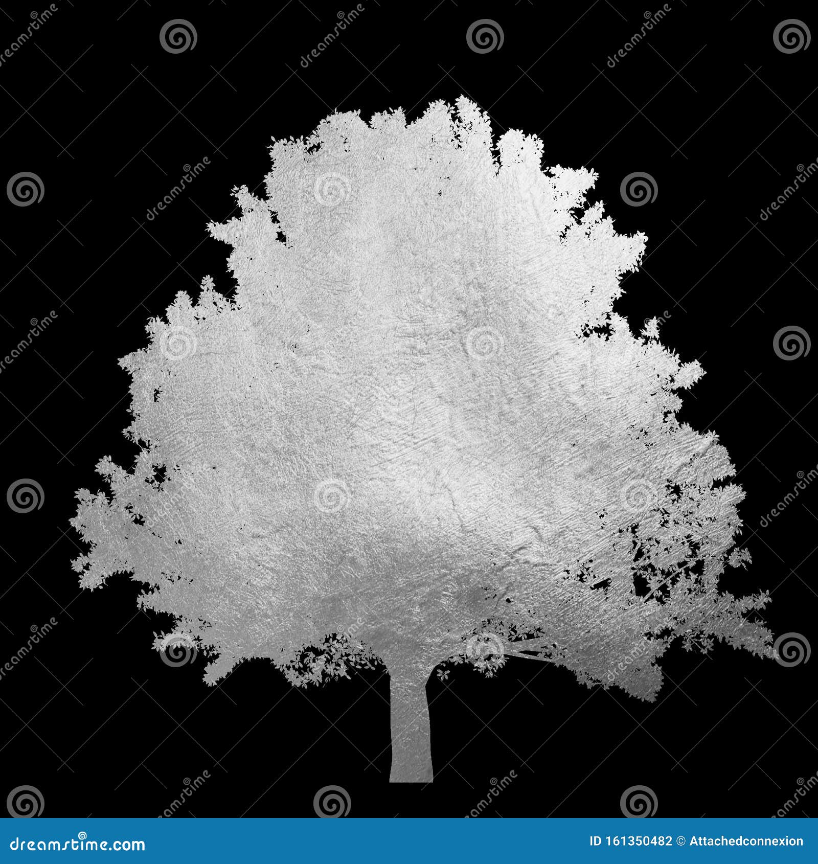 Silver Tree with Leaves Isolated on Black Background Stock Photo ...