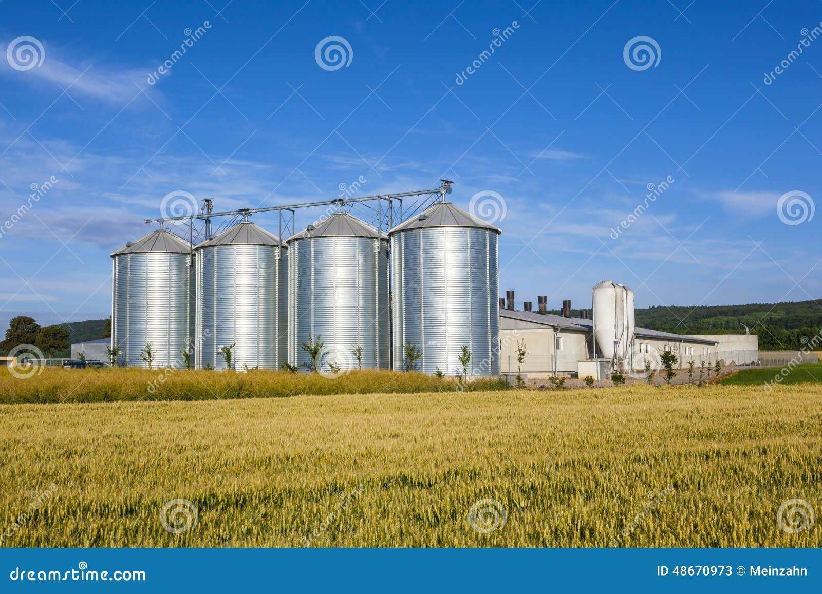 Silver silos in corn field stock image. Image of industry - 48670973