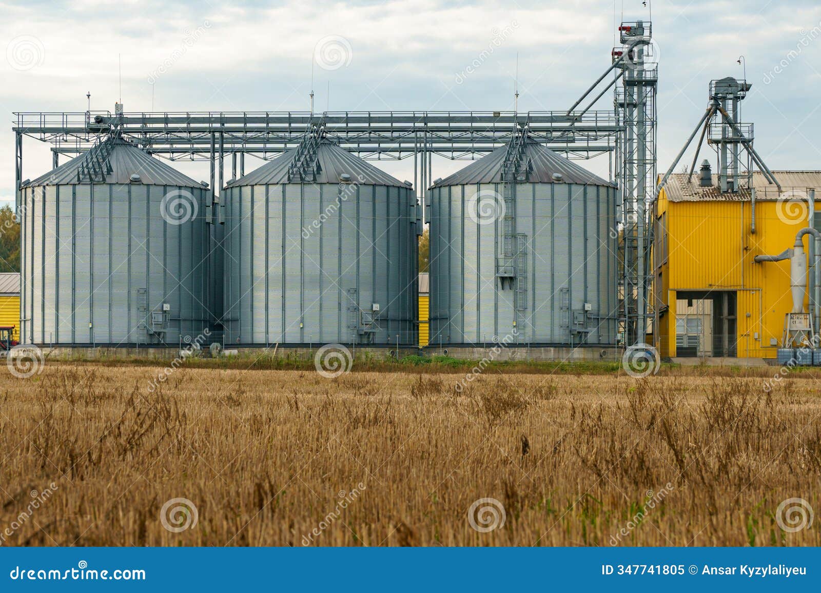 Silver Silos in the Field. a Modern Grain Storage, Processing and ...