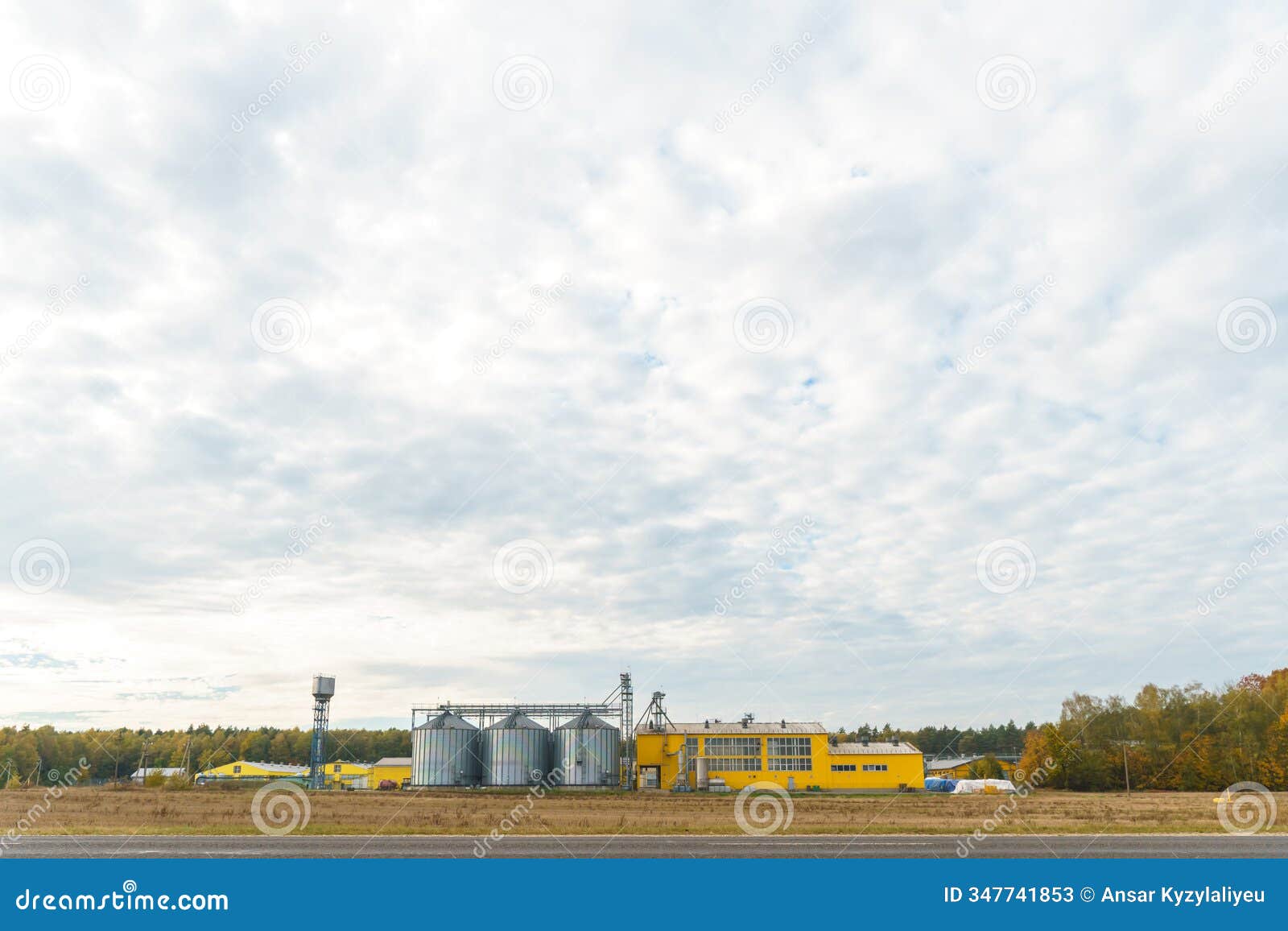 Silver Silos in the Field. a Modern Grain Storage, Processing and ...