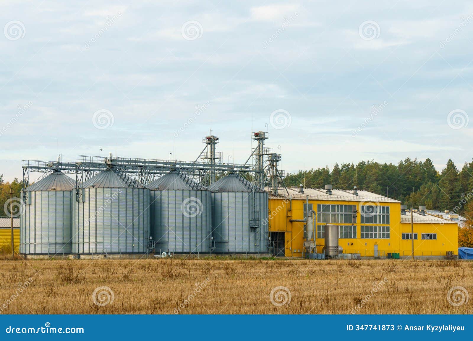 Silver Silos in the Field. a Modern Grain Storage, Processing and ...