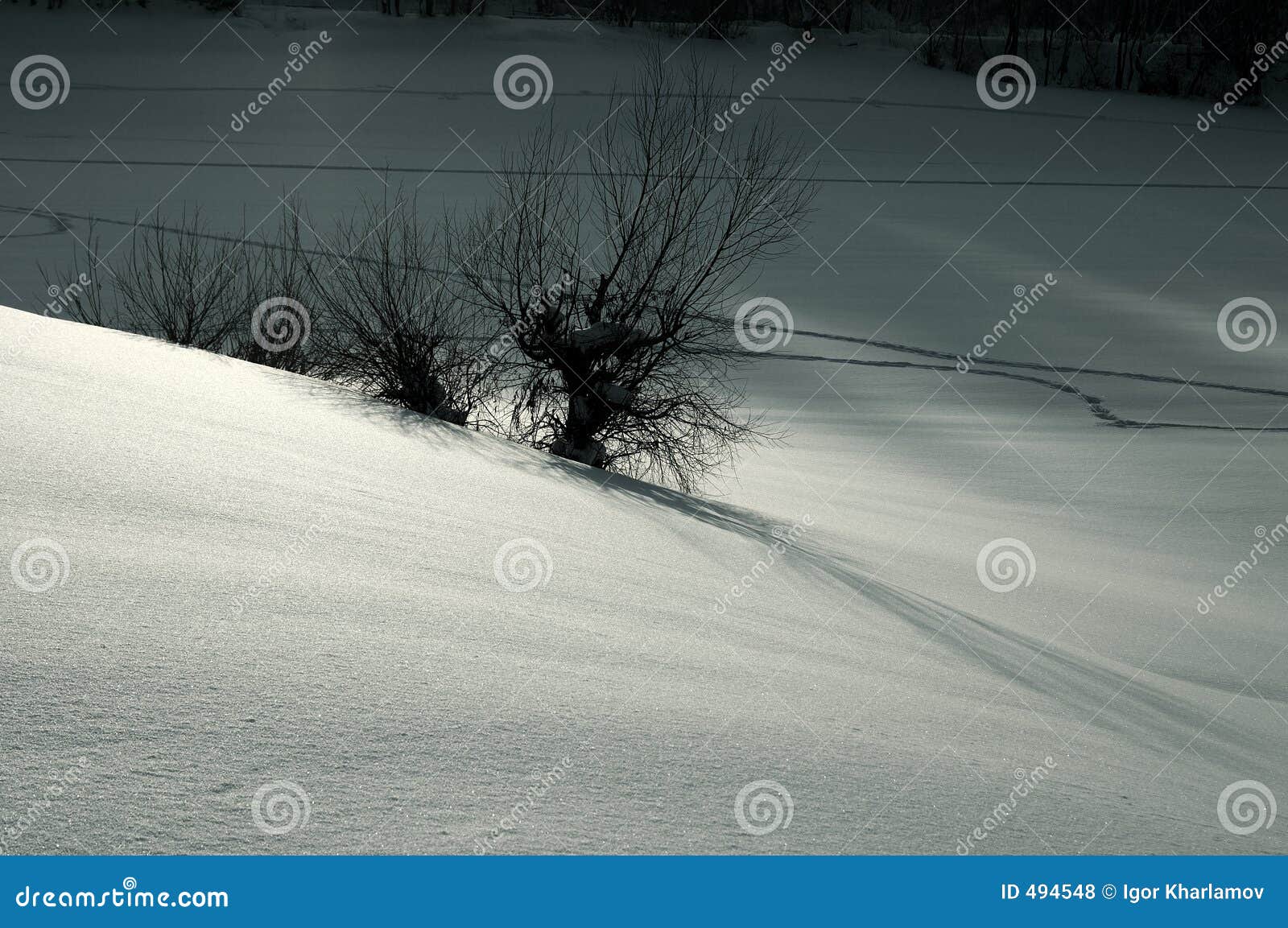 Silver snow landscape stock photo. Image of seasons, tracks - 494548