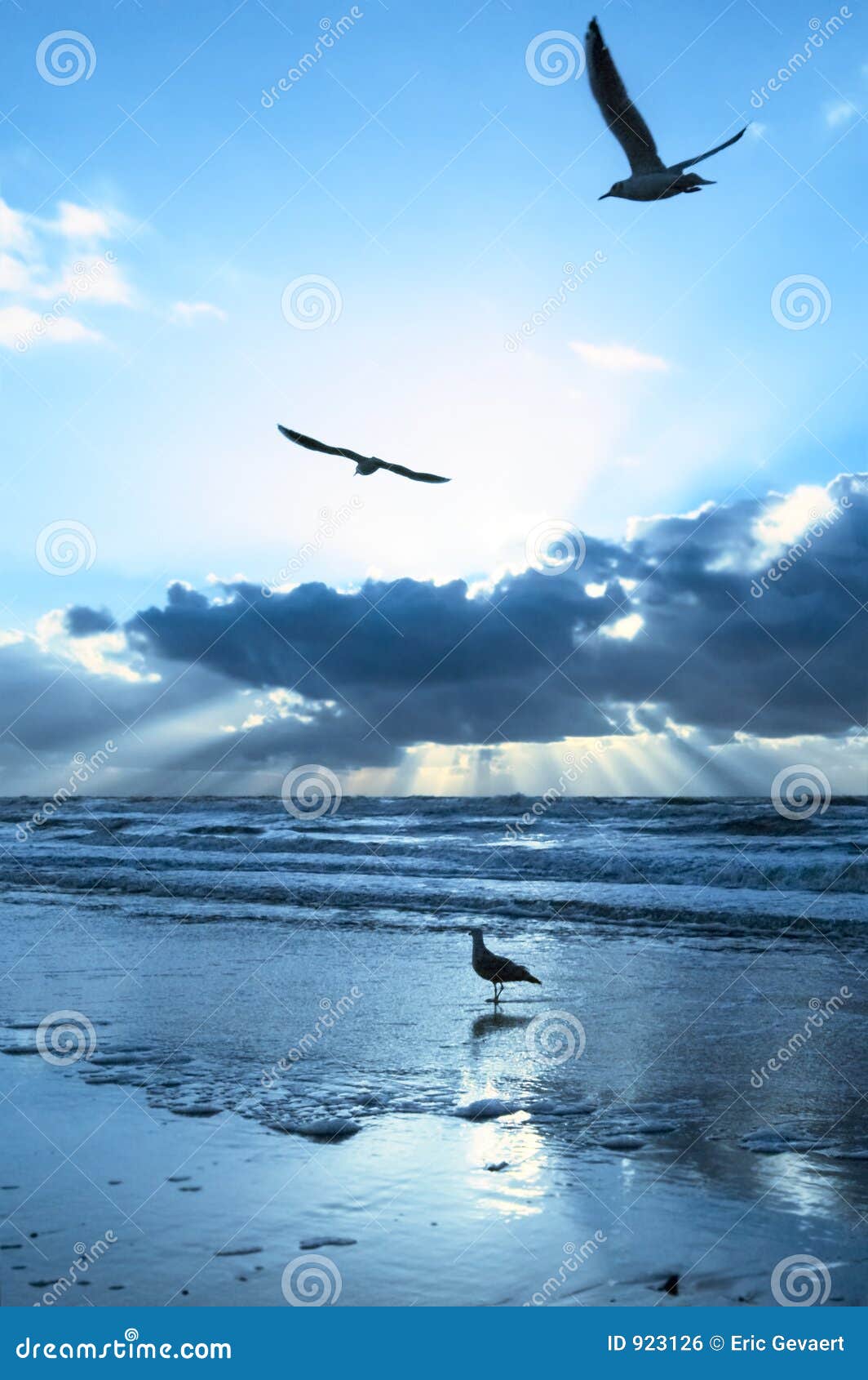 Silver Sunset stock photo. Image of peaceful, colorful - 923126