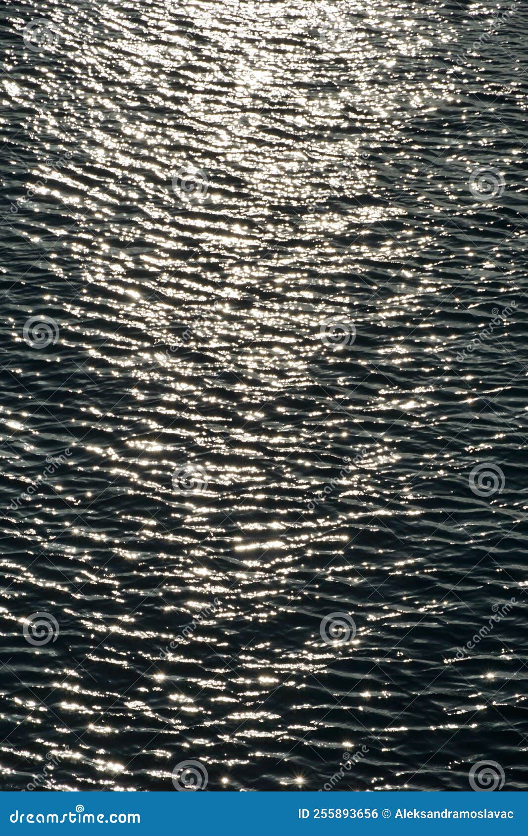 The Silver Surface of the Sea Water Illuminated by the Moonlight Stock ...