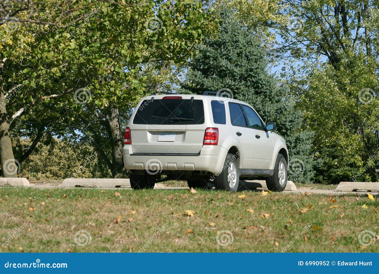 Silver SUV stock photo. Image of rear, park, trees, hatch - 6990952