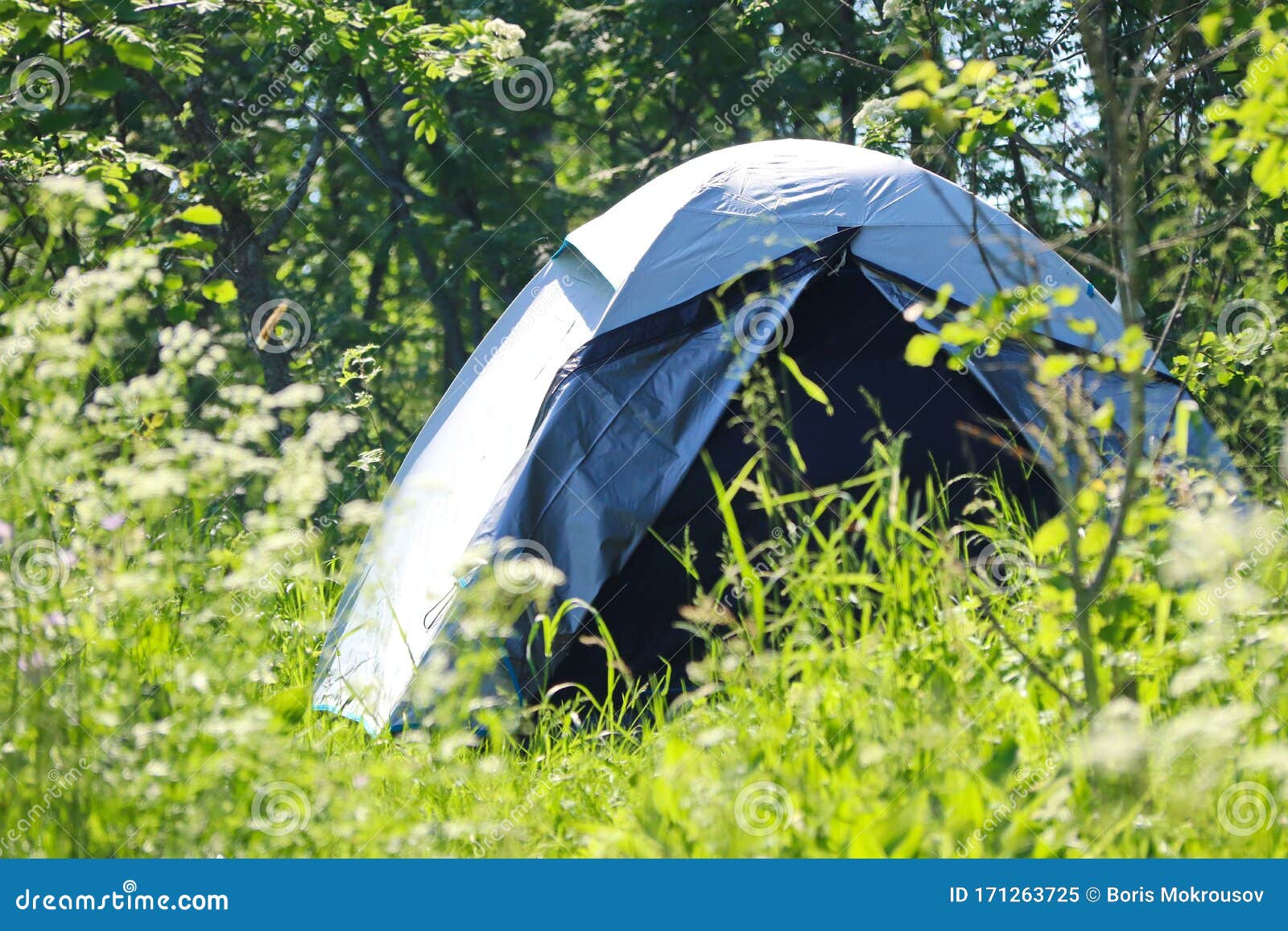Silver Tent in a Sunny Meadow in the Woods Stock Image - Image of ...