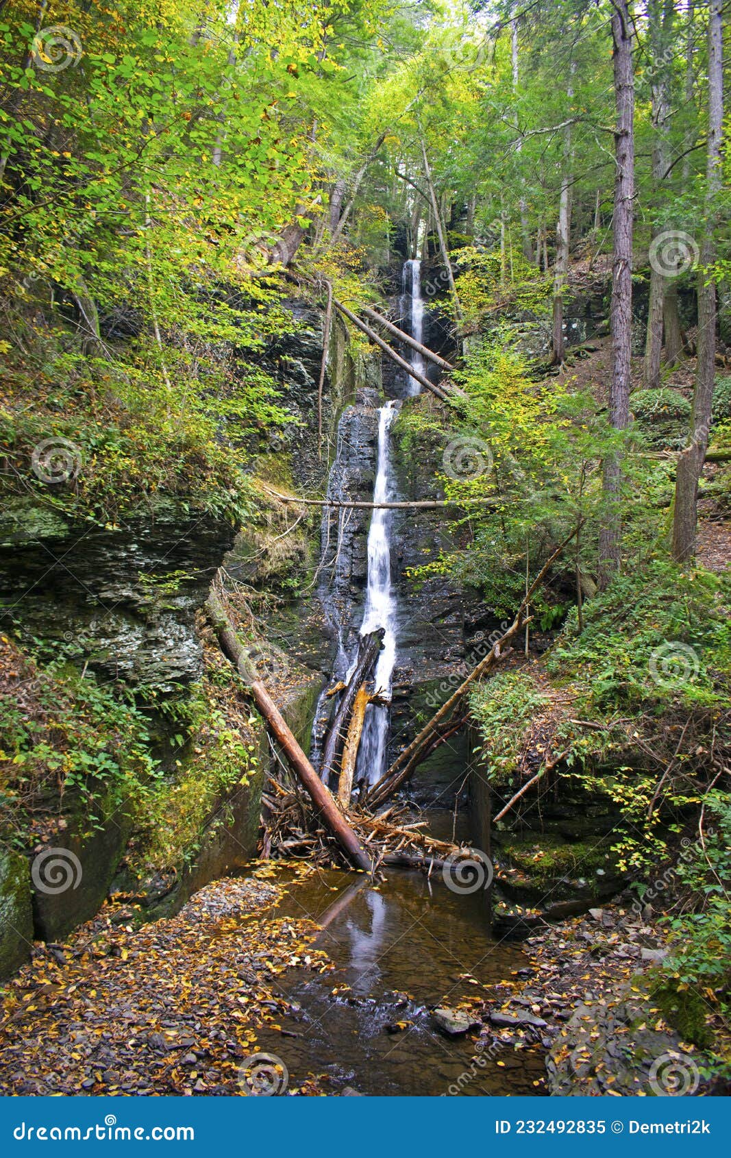 Silver Thread Falls in Dingmans Ferry, PA -01 Stock Image - Image of ...