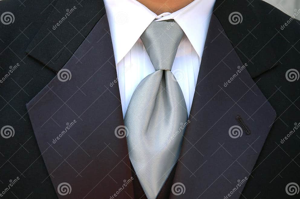 Silver tie and tux stock image. Image of spruced, spiffy - 3118707
