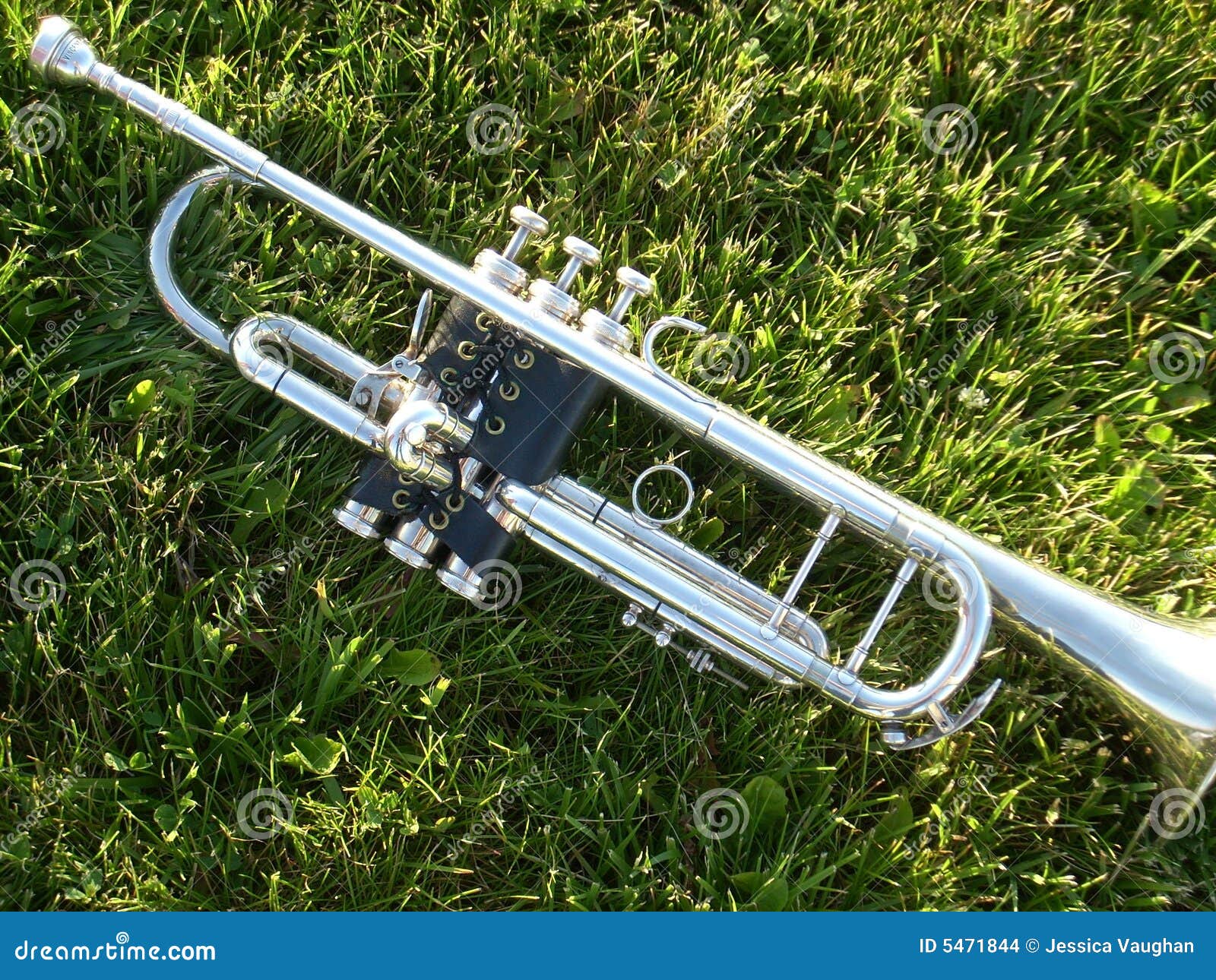 Silver trumpet on grass stock photo. Image of lawn, green - 5471844