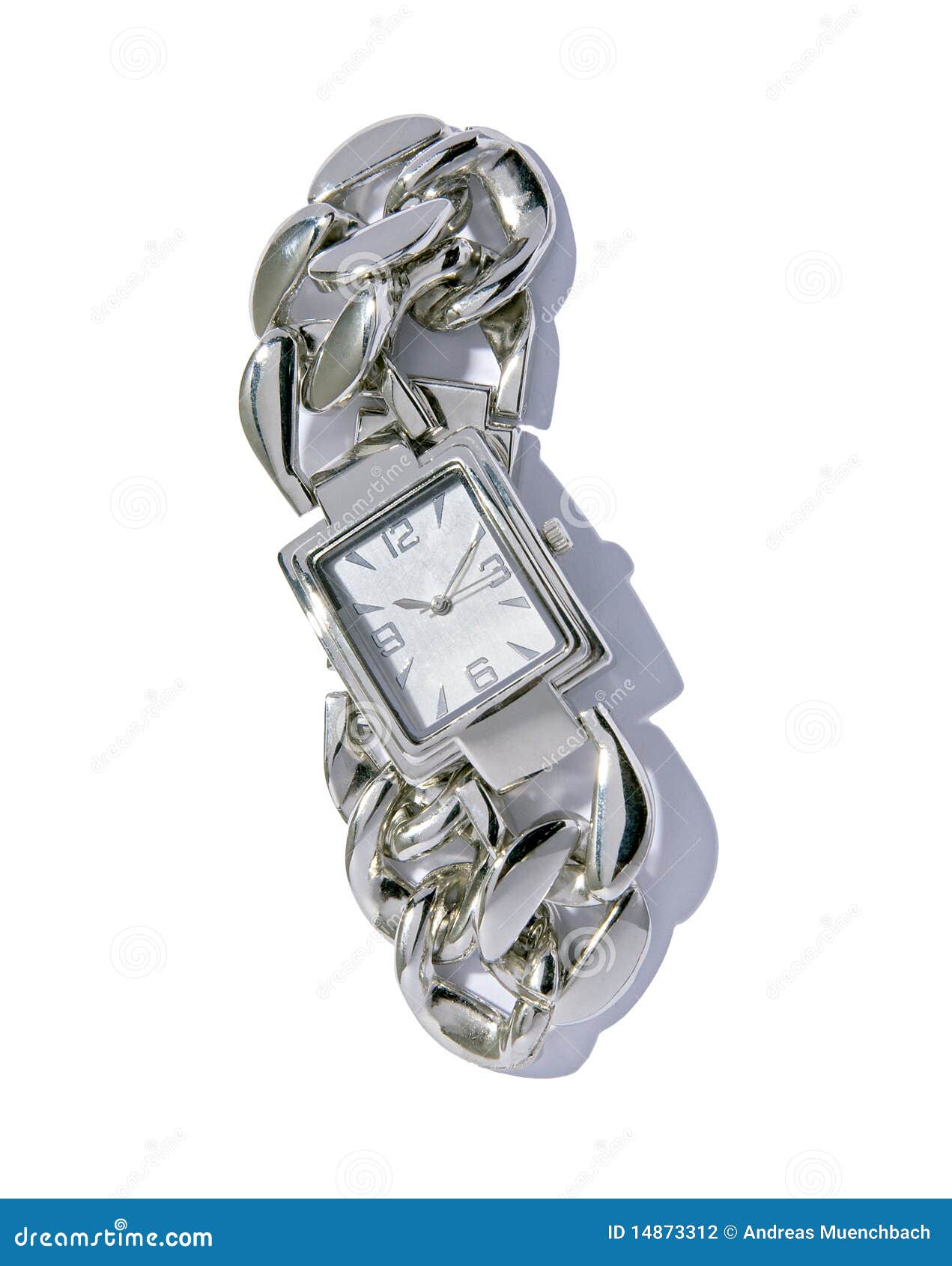 Silver Watch stock photo. Image of lady, luxury, business - 14873312