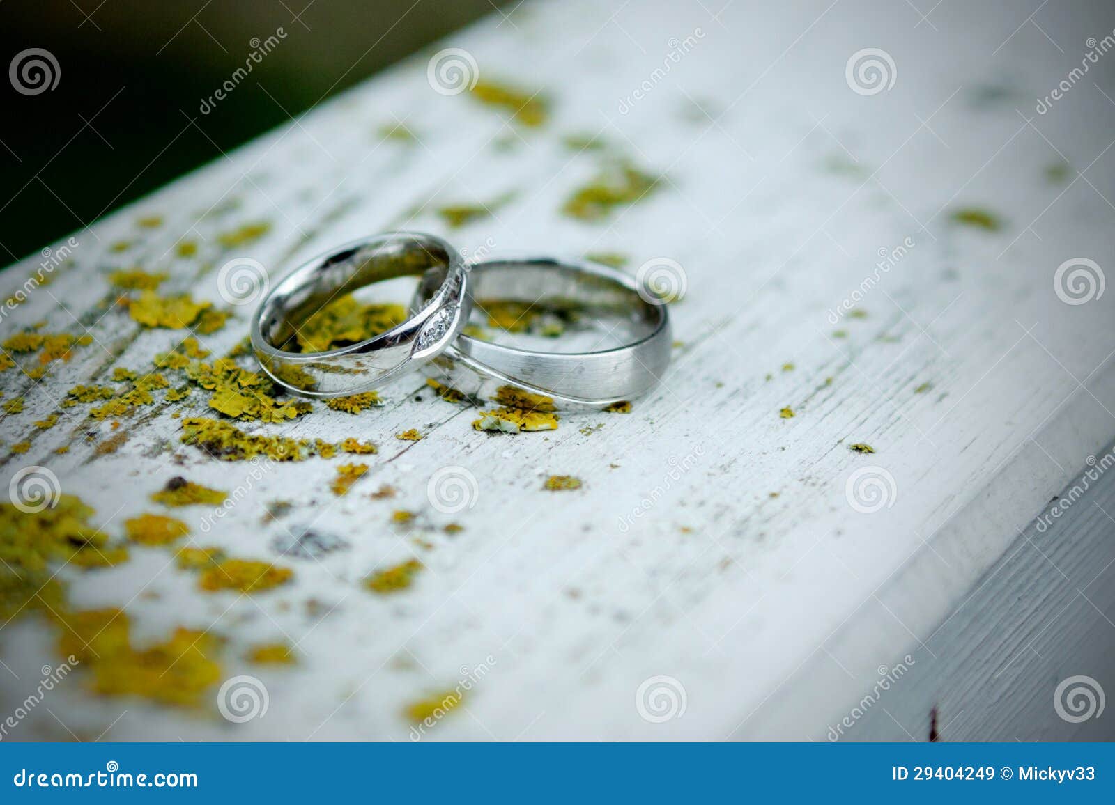 Silver wedding rings stock image. Image of bride, love - 29404249
