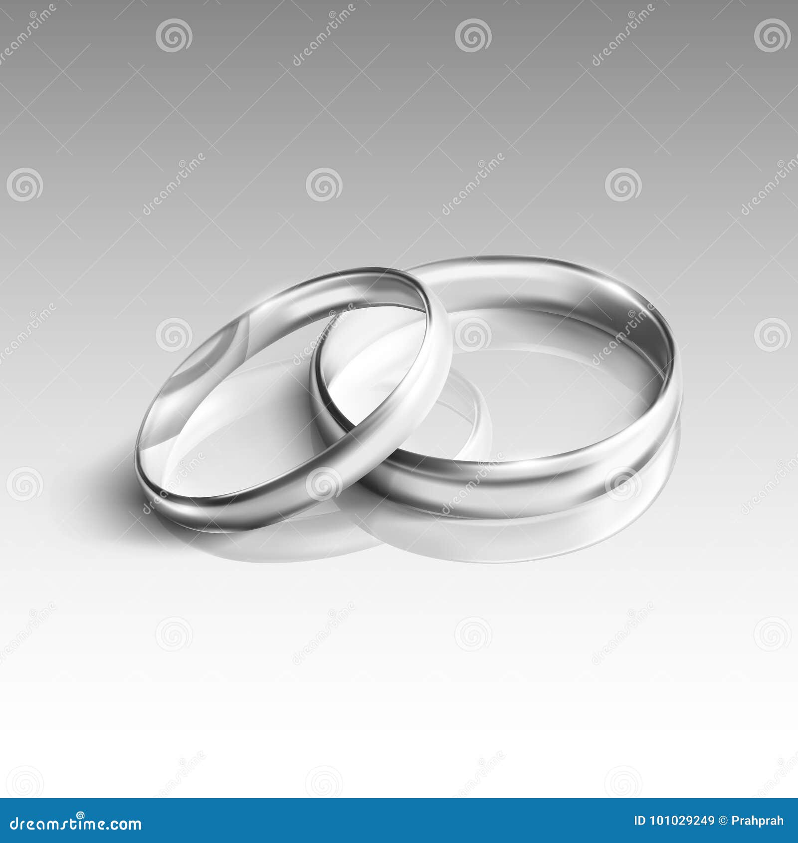 Silver Wedding Rings on White Background Stock Vector - Illustration of ...