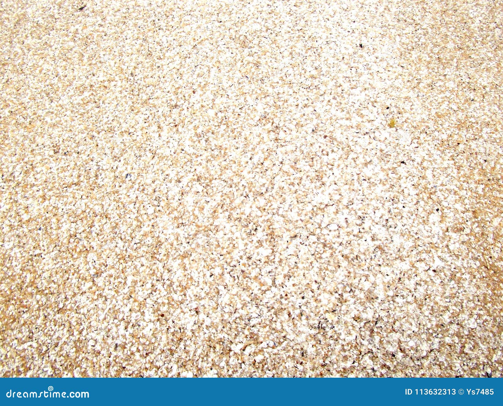 Silver Wet Sand Texture on the Beach Stock Image - Image of water ...