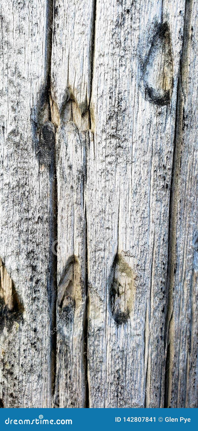 Silver wood texture stock image. Image of geology, wall - 142807841