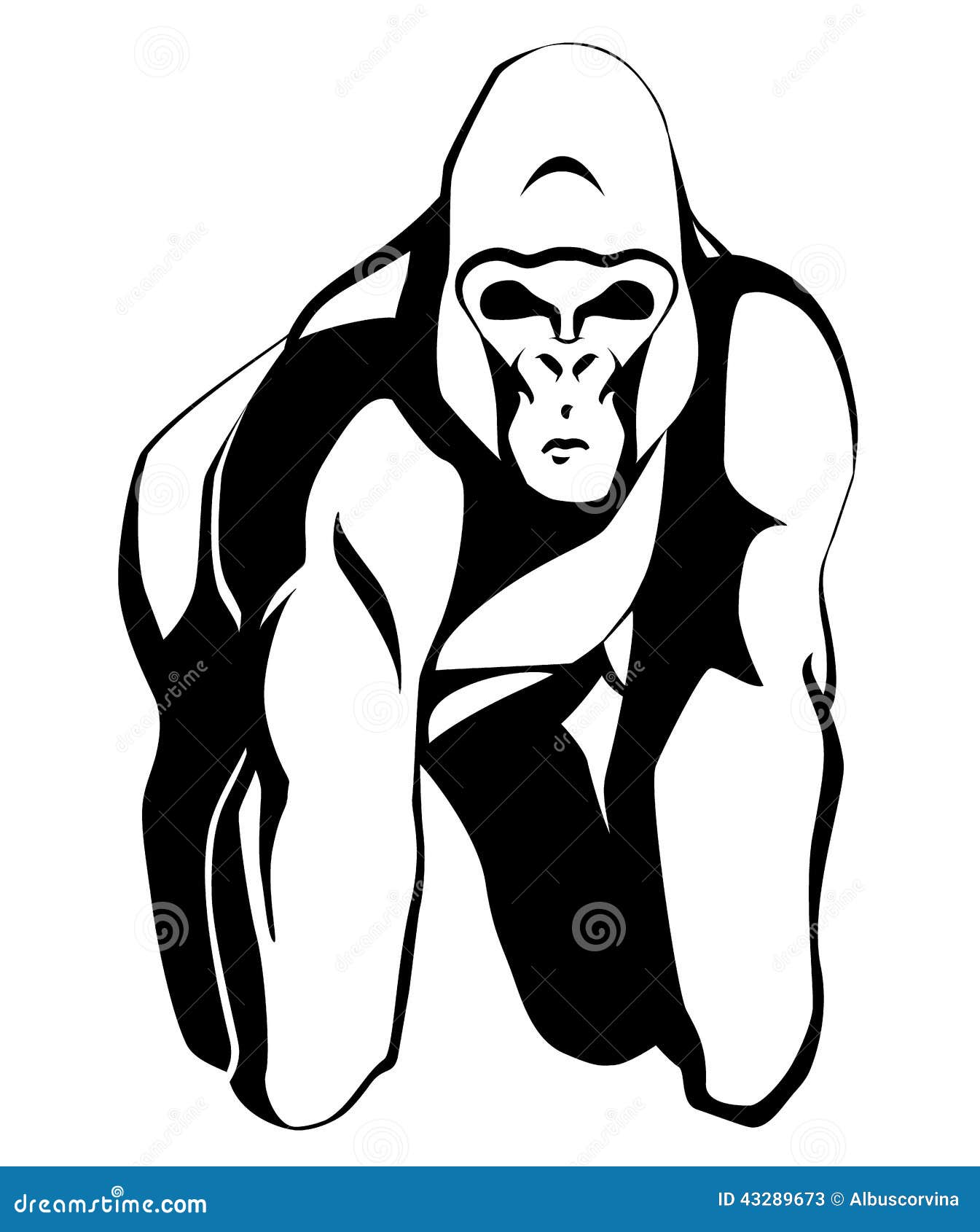 Silverback Gorilla Vector