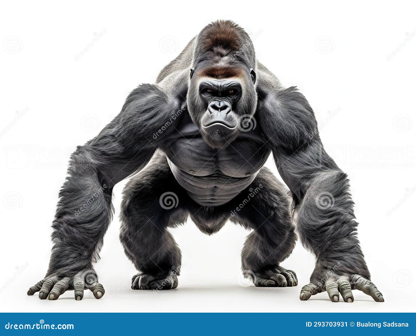 Ai Generated Illustration Wildlife Concept of Silverback Gorilla Stock ...