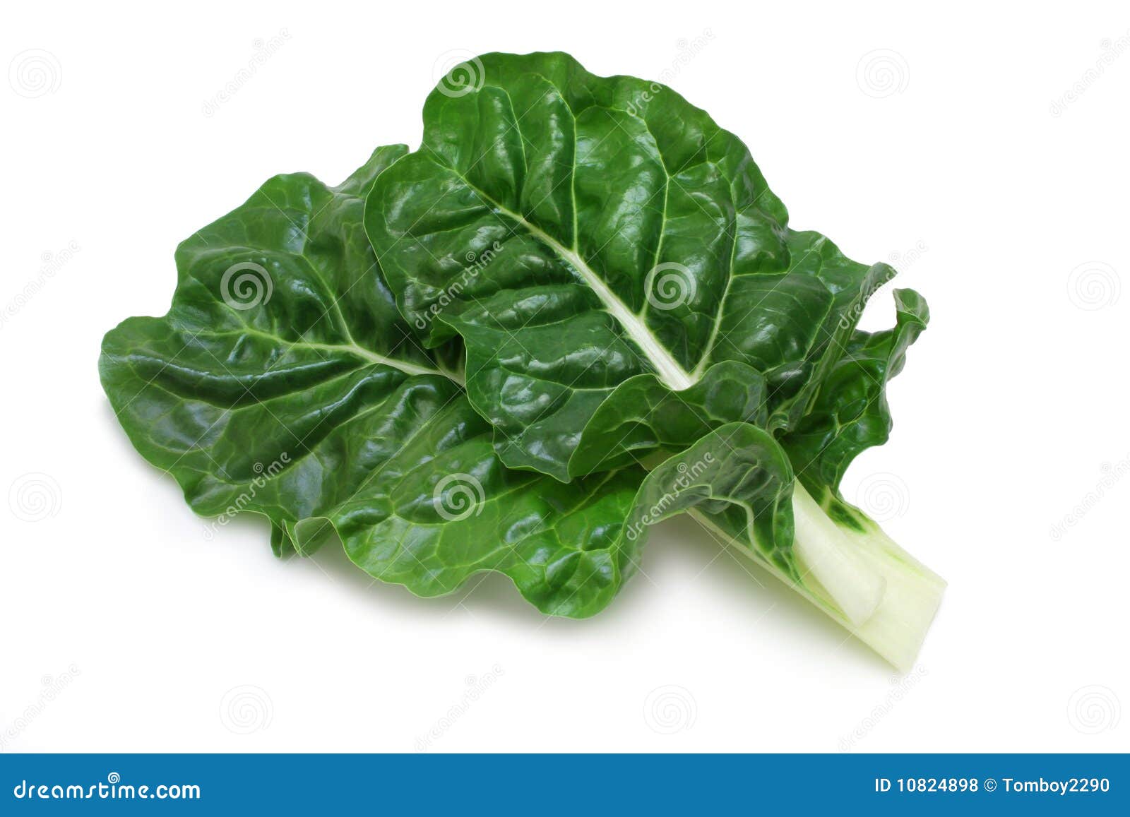 Silverbeet stock photo. Image of folate, nutrition, swiss - 10824898