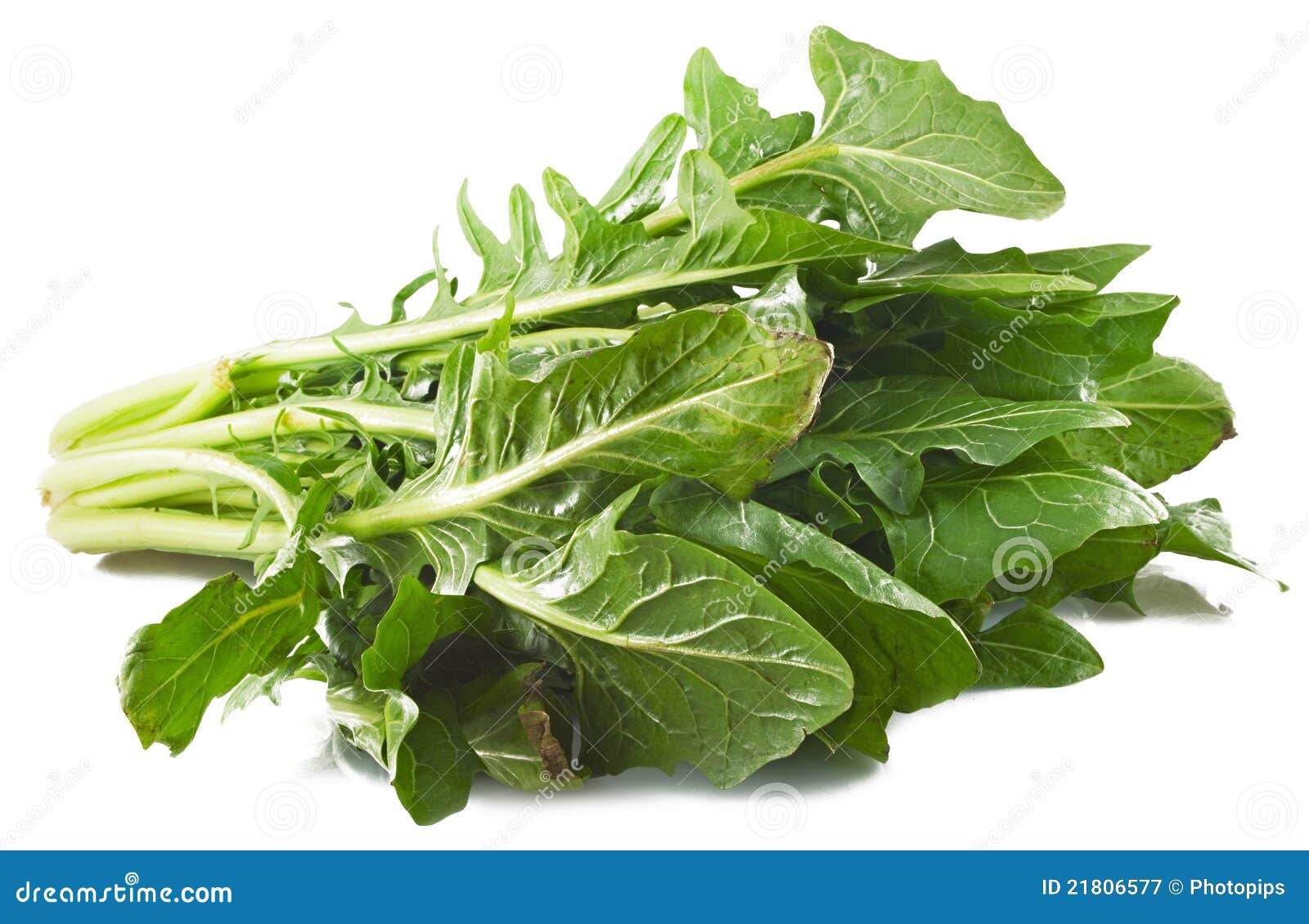 Silverbeet stock image. Image of chard, background, seakale - 21806577