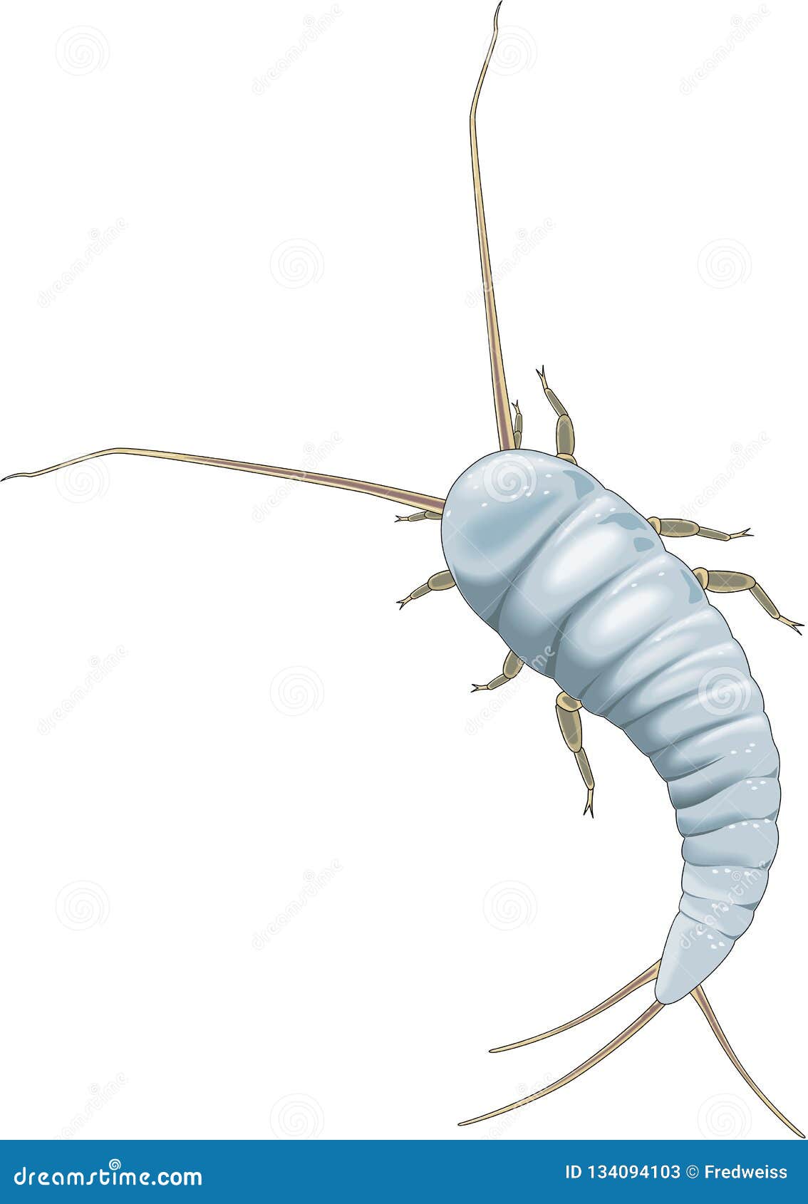 Silverfish Cartoons, Illustrations & Vector Stock Images - 788 Pictures ...
