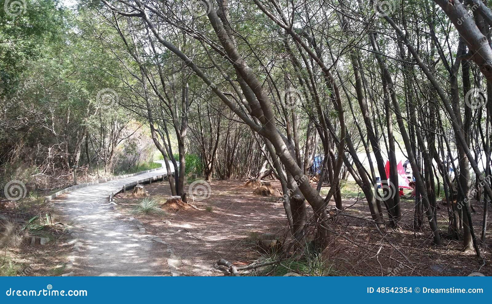 Silvermine stock photo. Image of silvermine, areas, nature - 48542354