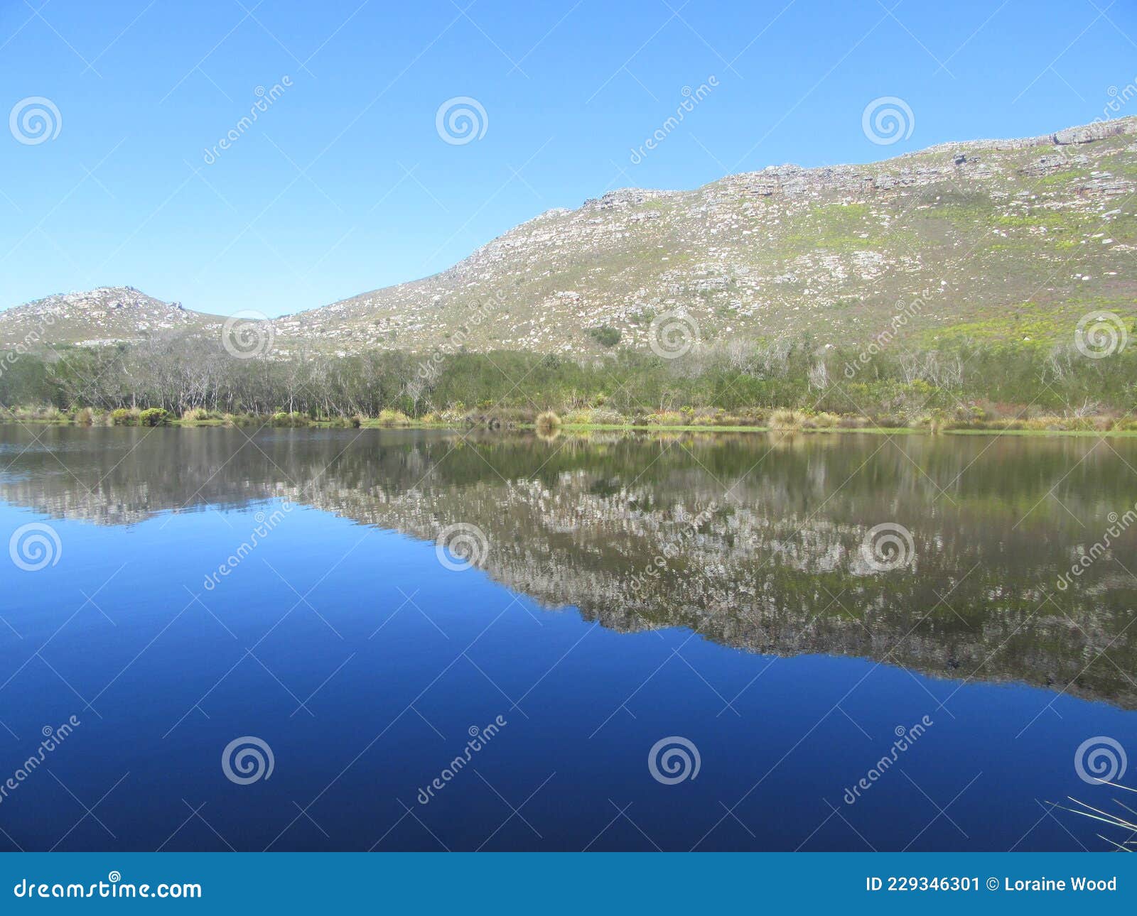 Silvermine Dam stock image. Image of fell, tour, lake - 229346301