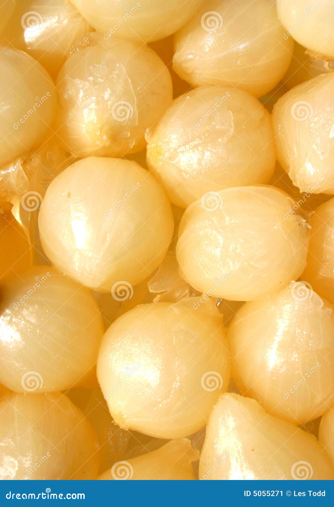 Silverskin pickled onions stock image. Image of onions - 5055271