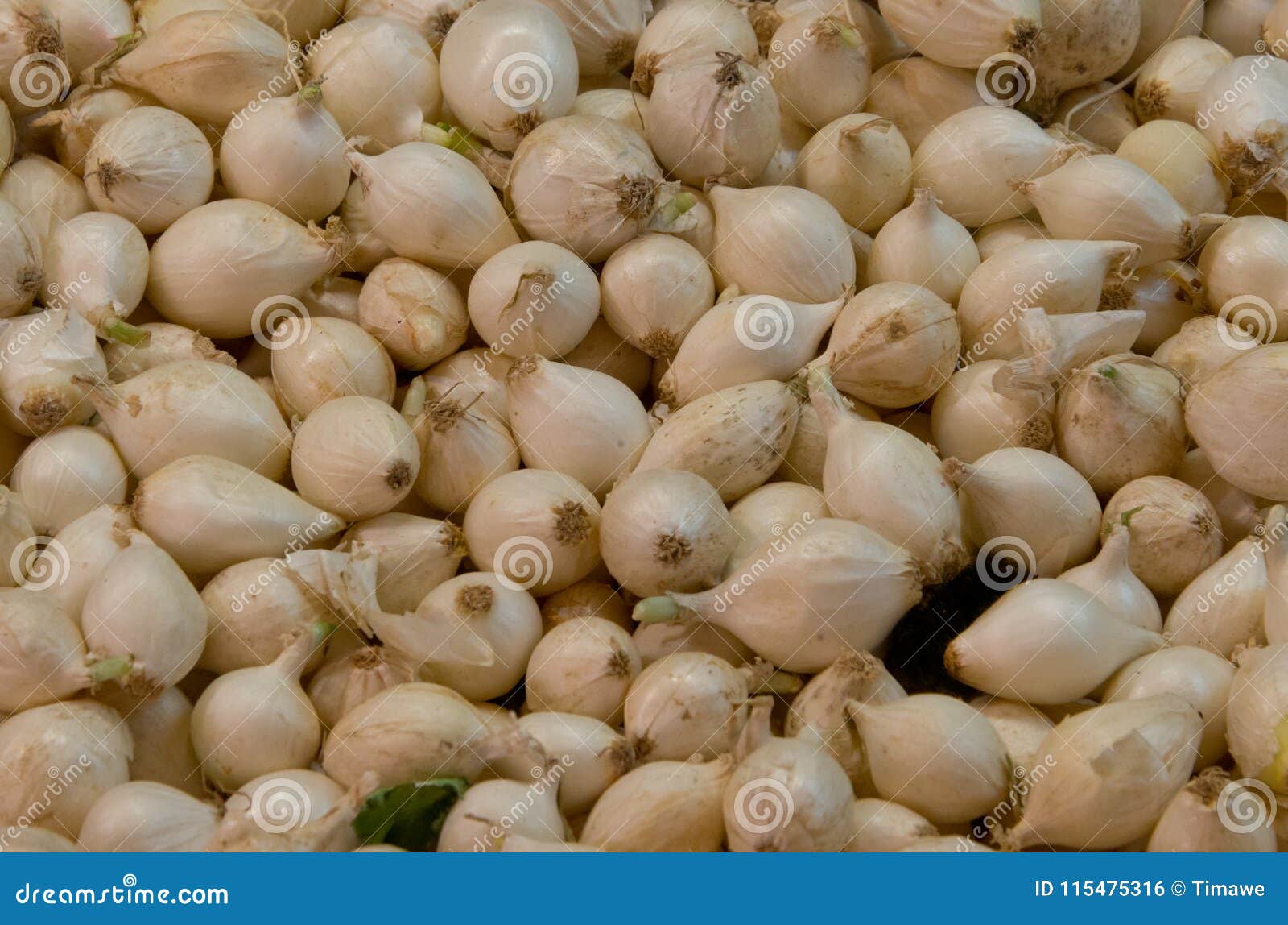 Silverskin Pickling Onions stock photo. Image of roots - 115475316