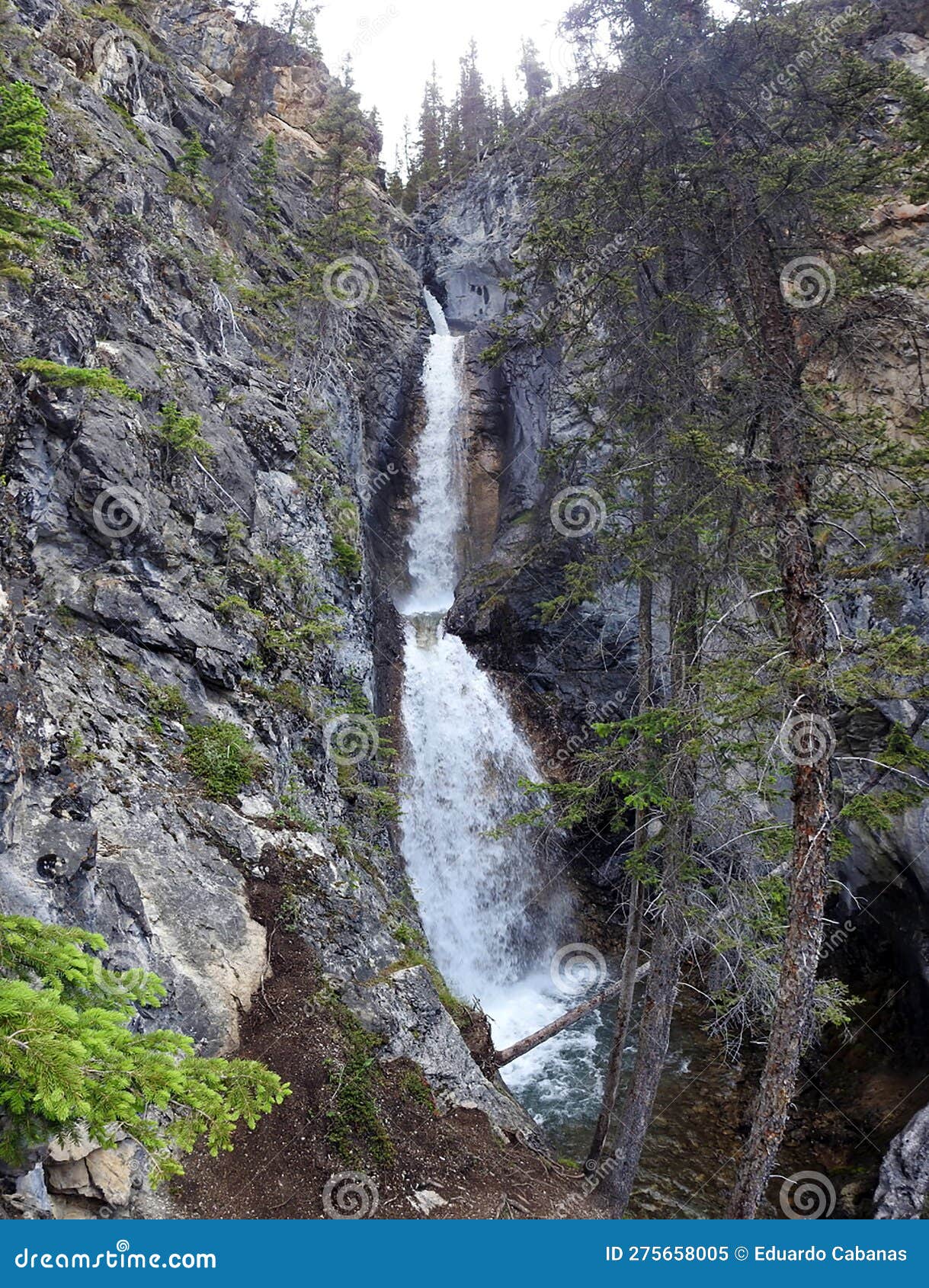 Silverton Falls in Banff, Alberta, Canada Stock Image - Image of cavern ...