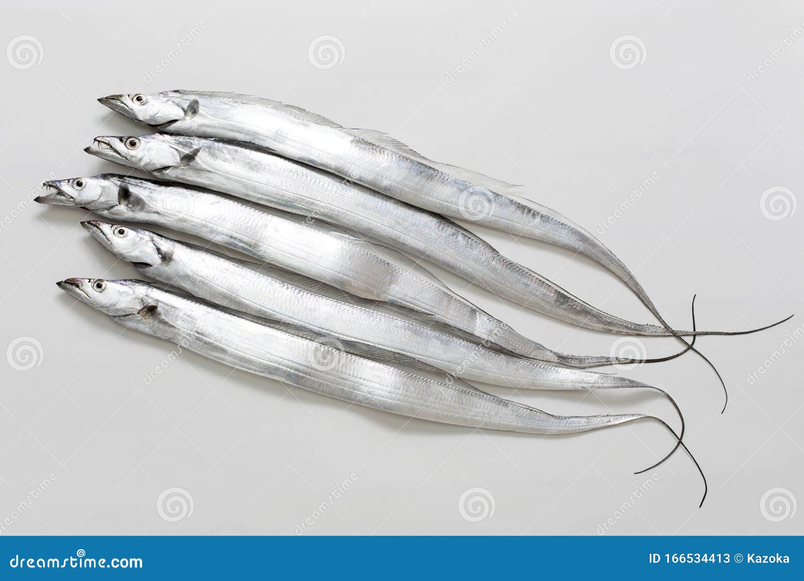 Fresh Cutlass fish stock image. Image of saltwater, fish - 166534413