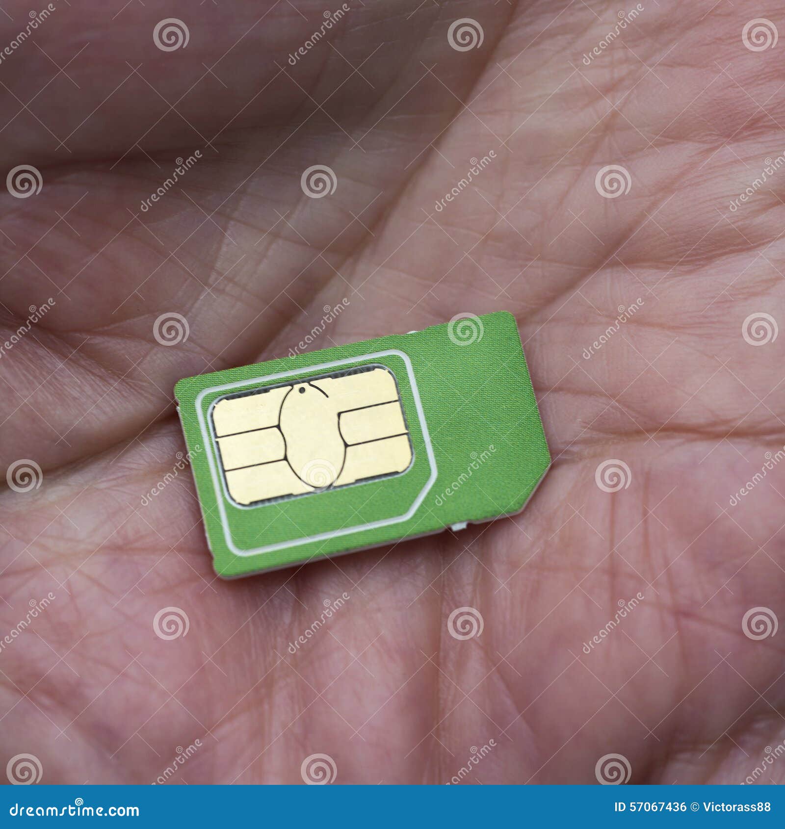 SIM Card in Hand stock photo. Image of hand, information - 57067436