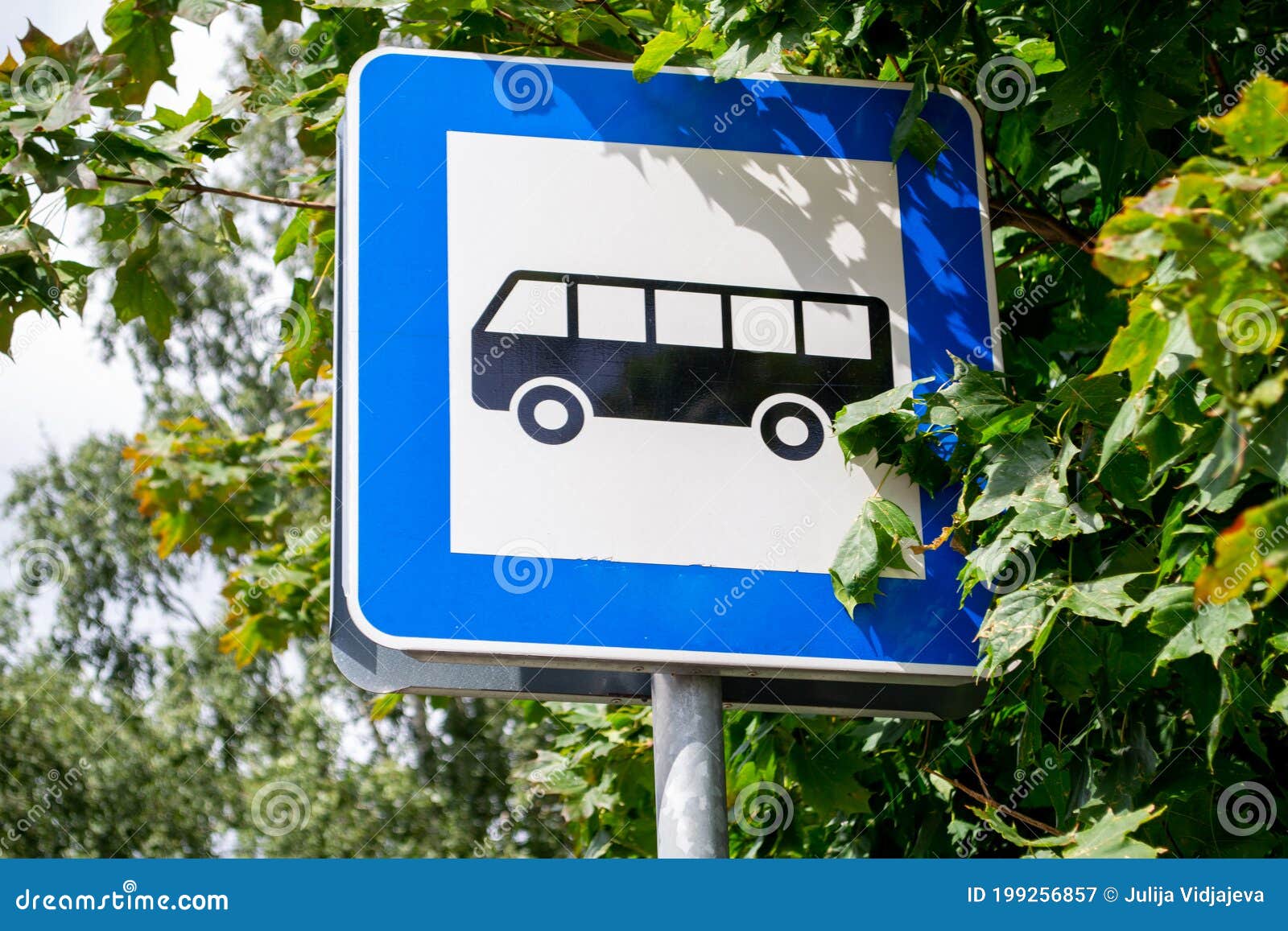 Simbol of Bus Stop in Green Tree Background. Stock Image - Image of ...