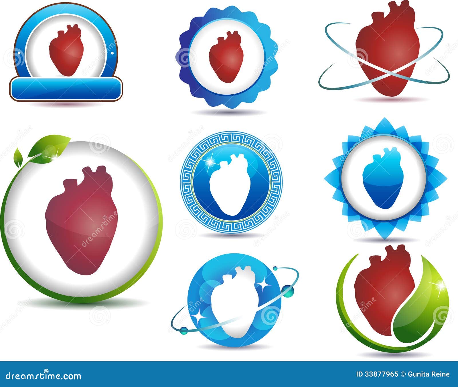 Simboli Di Anatomia Del Cuore Illustrazione Vettoriale - Illustrazione ...