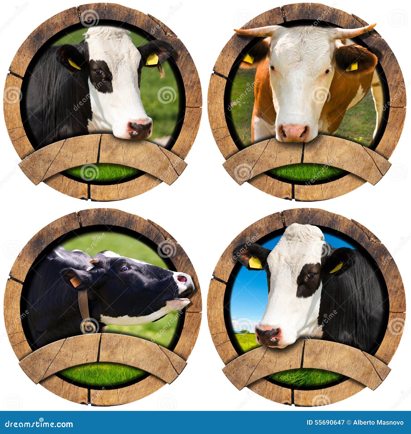 Simboli Rotondi Con Le Teste Delle Mucche Illustrazione di Stock ...