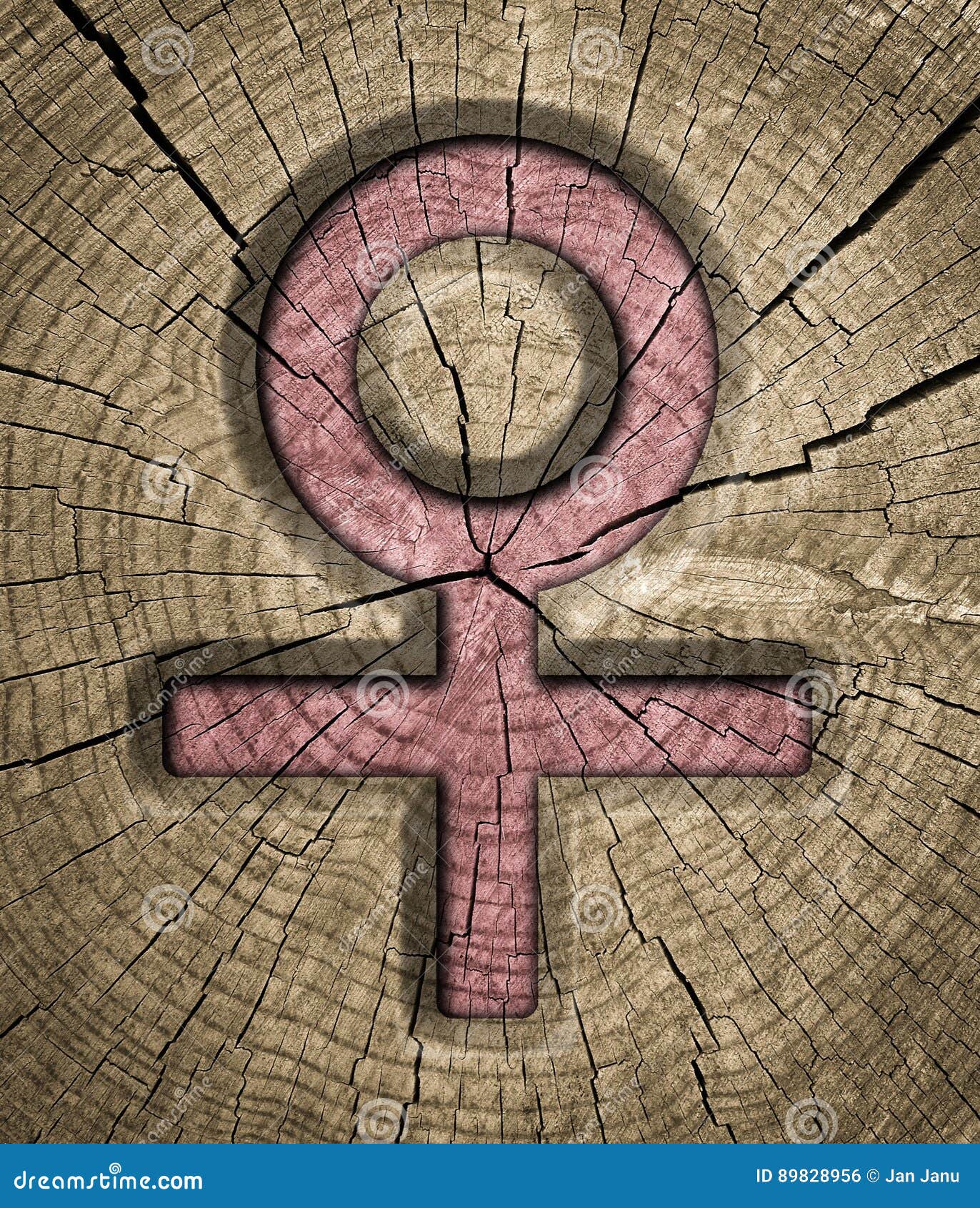 Simbolo delle donne fotografia stock. Immagine di cerchio - 89828956