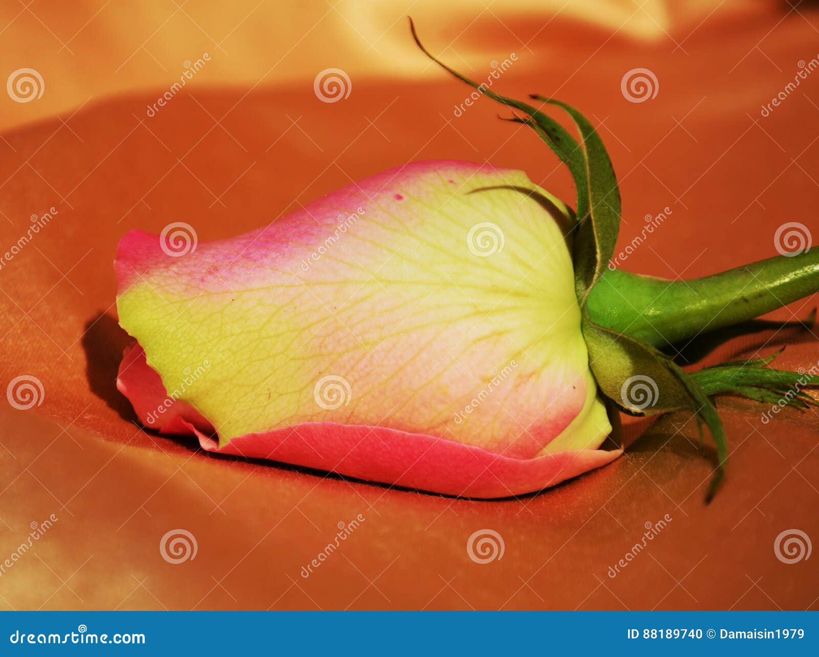 Simbolo di rispetto fotografia stock. Immagine di rapporto - 88189740