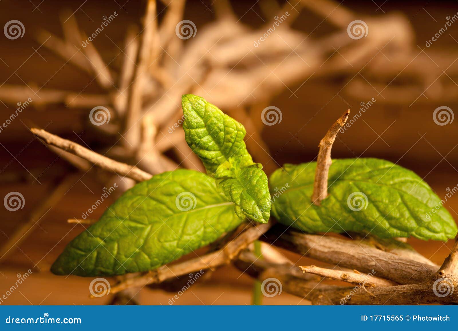 Simbolo di speranza immagine stock. Immagine di religione - 17715565