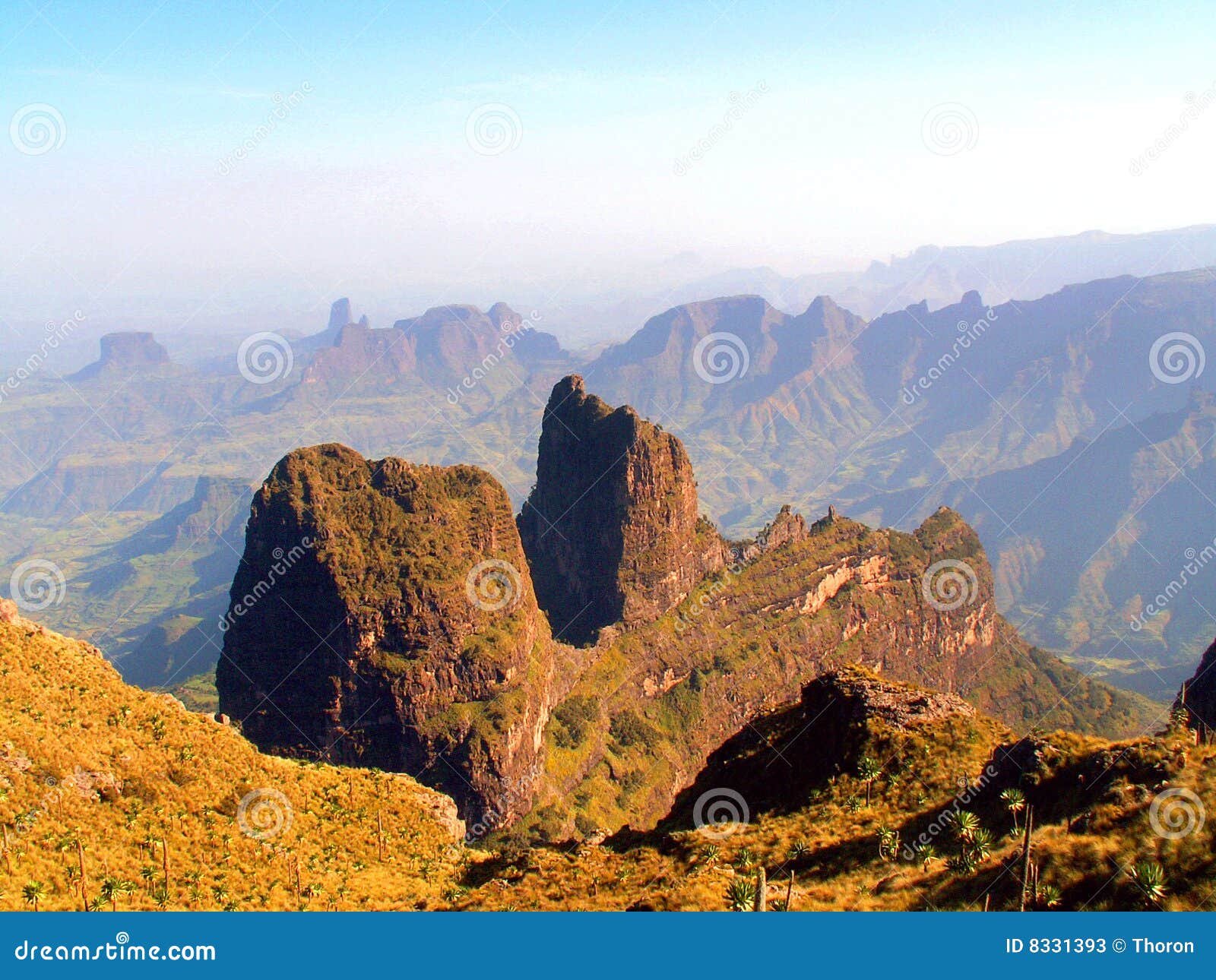 Simien National Park Royalty-Free Stock Photo | CartoonDealer.com #8331393