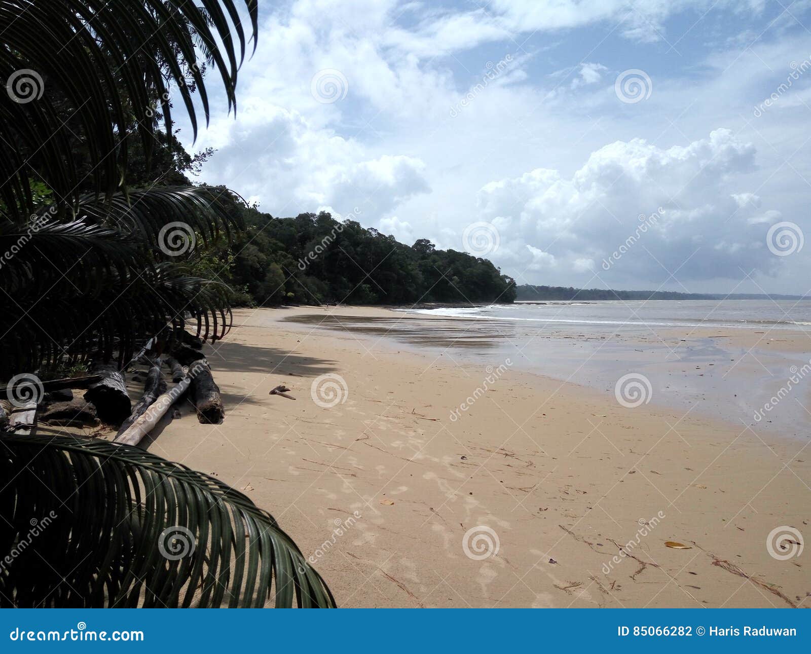 Similajau National Park stock photo. Image of park, similajau - 85066282