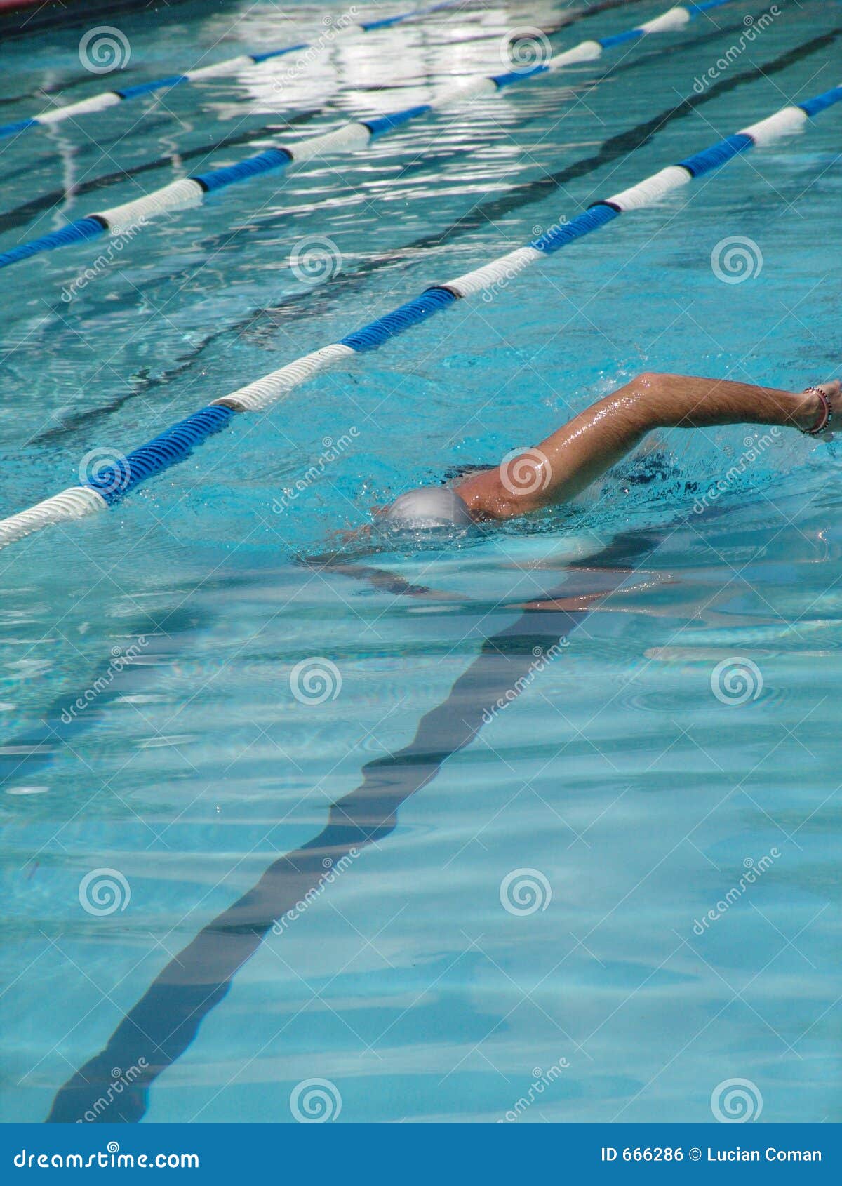 Simmare arkivfoto. Bild av trösta, musslor, nytt, manlig - 666286