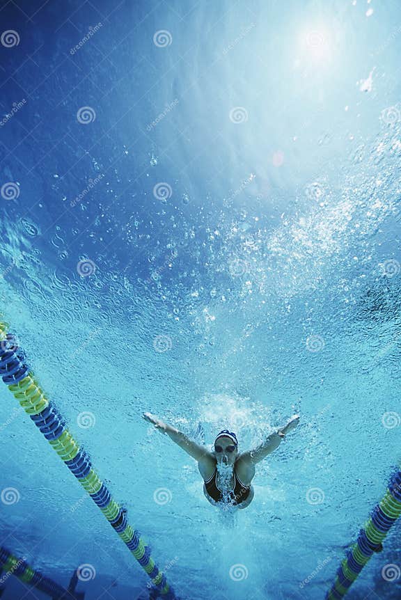 Simmare in Pool arkivfoto. Bild av rörelse, full, pöl - 29661502