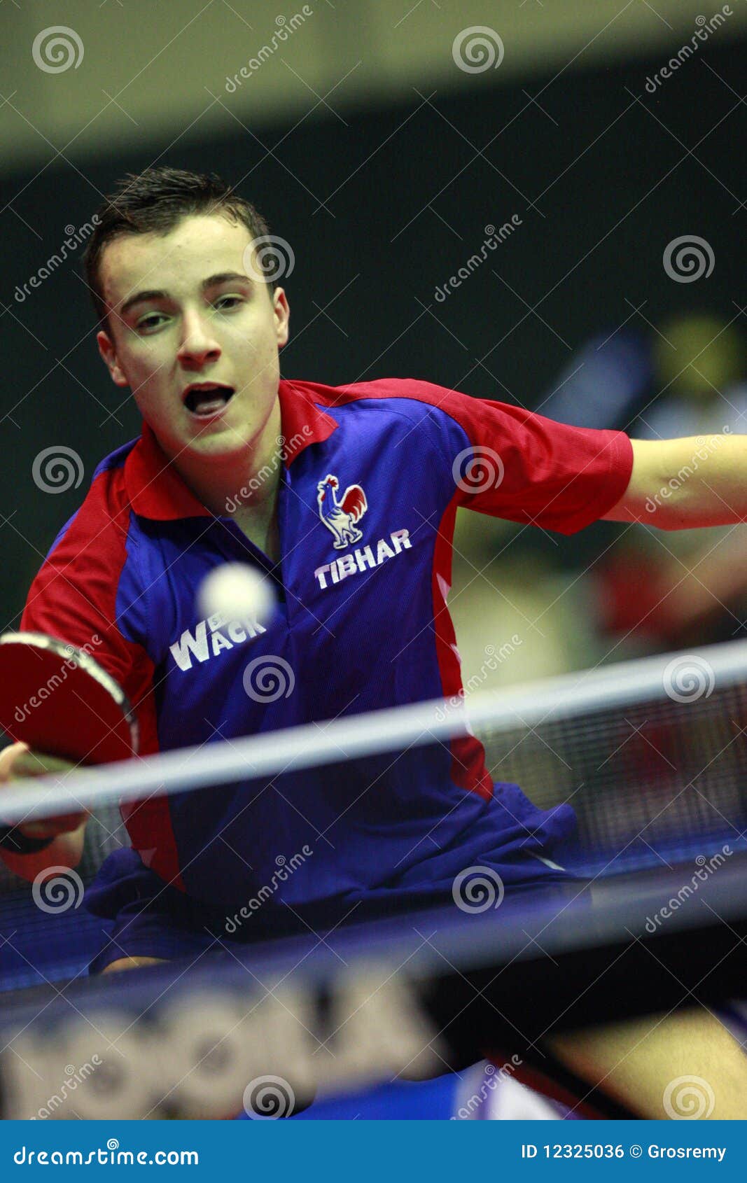 Simon Gauzy foto editorial. Imagem de esfera, tênis, porcelana - 12325036