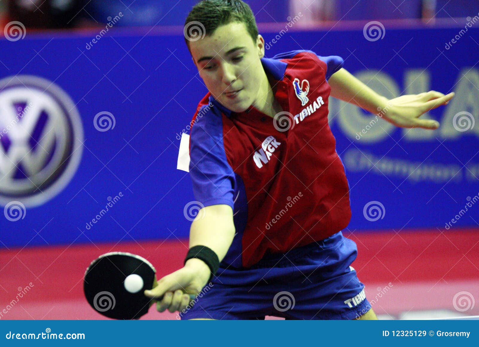 Simon Gauzy imagem de stock editorial. Imagem de colônia - 12325129